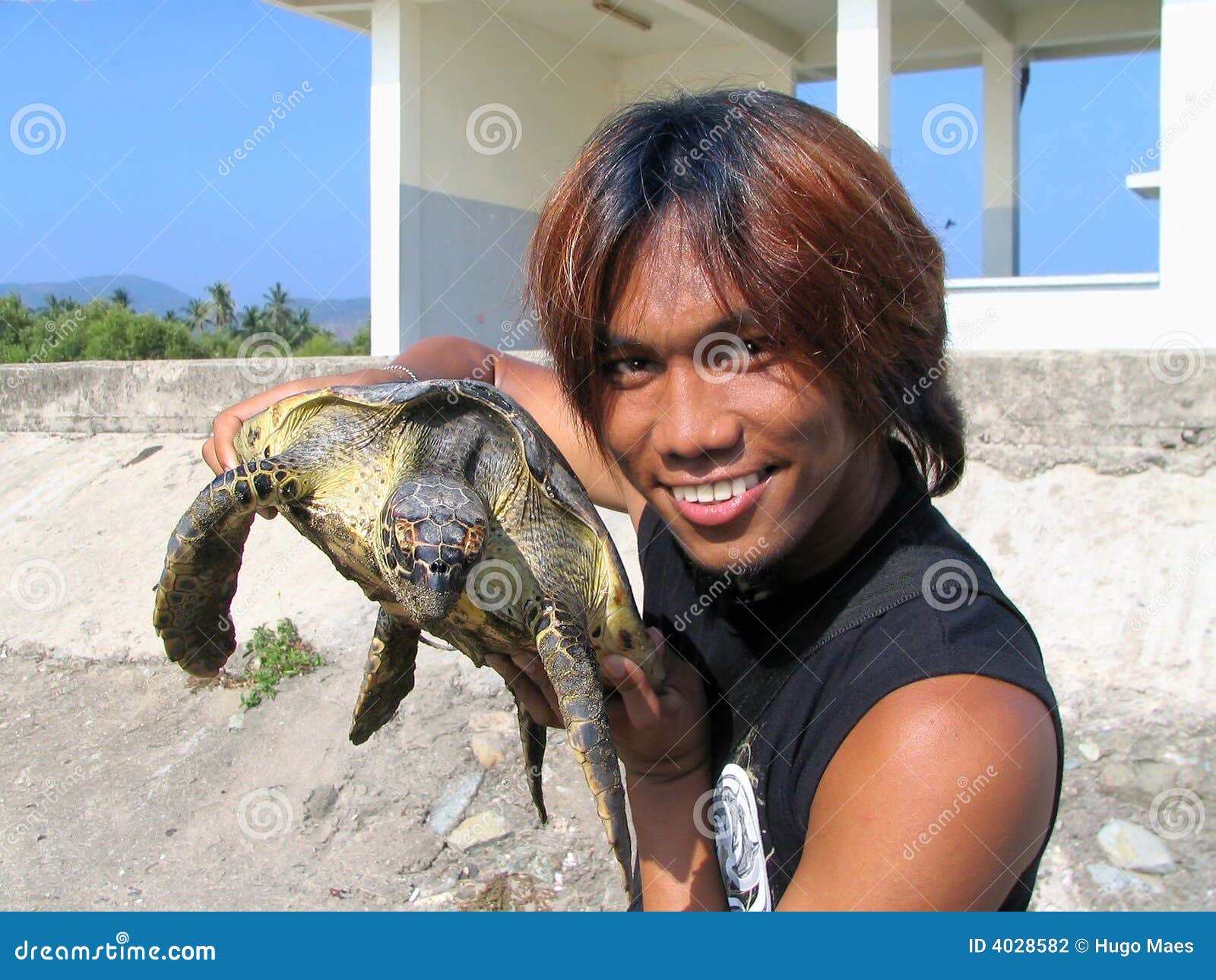 Boy holding sea turtle stock photo. Image of smile, caretaker - 4028582
