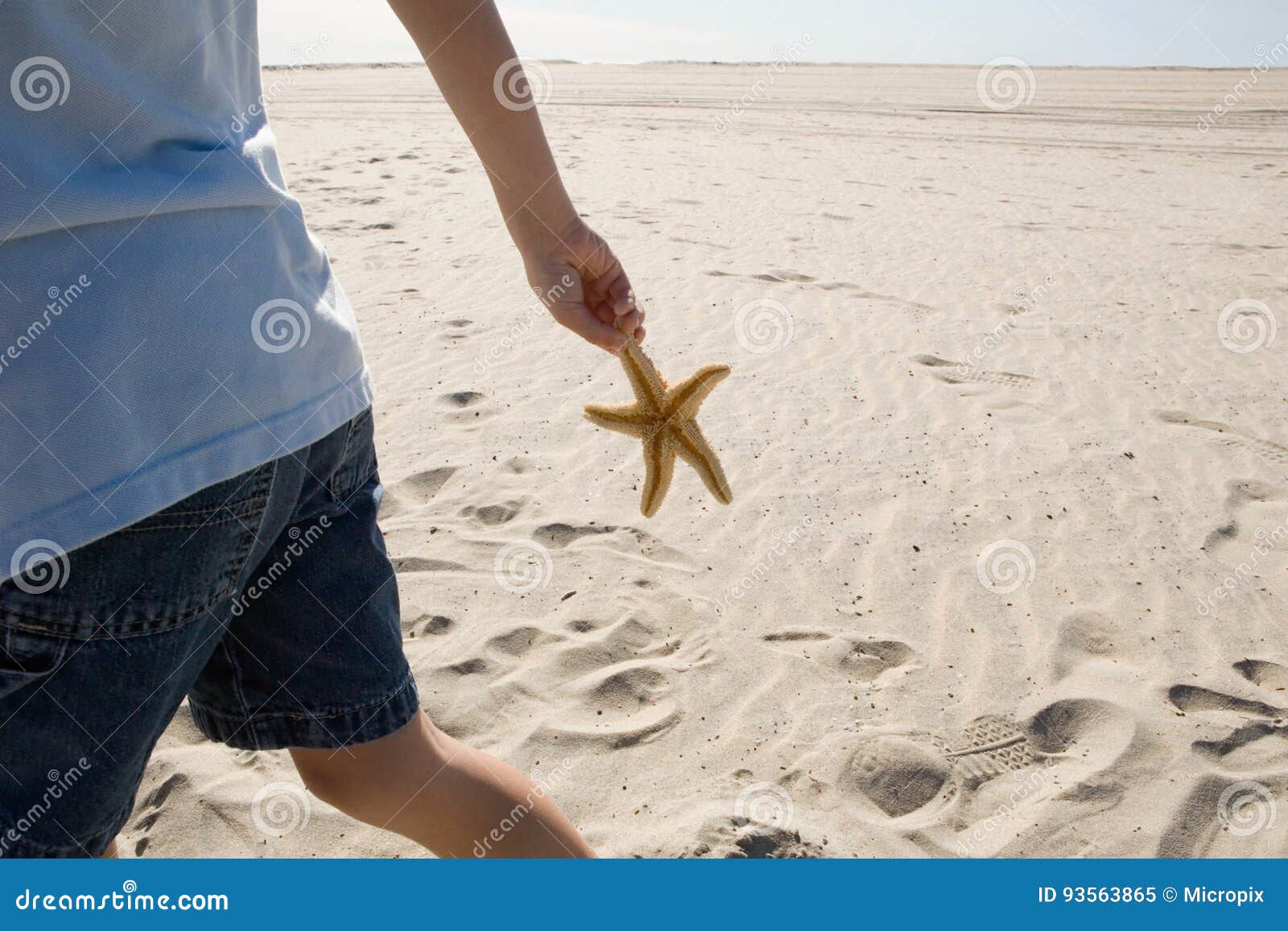 Boy Holding Starfish Walking on Beach Stock Image - Image of setting ...