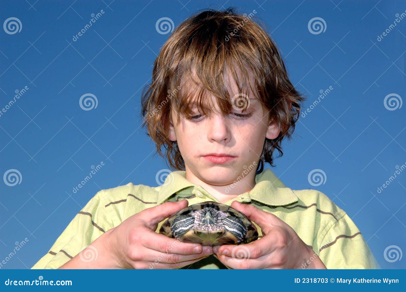 Boy Holding Turtle Picture. Image: 2318703