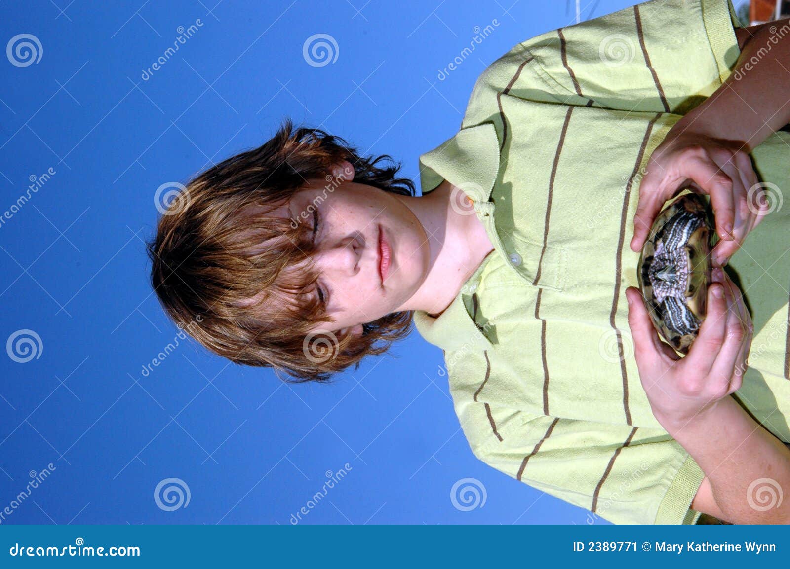 Boy holding turtle stock image. Image of green, shell - 2389771
