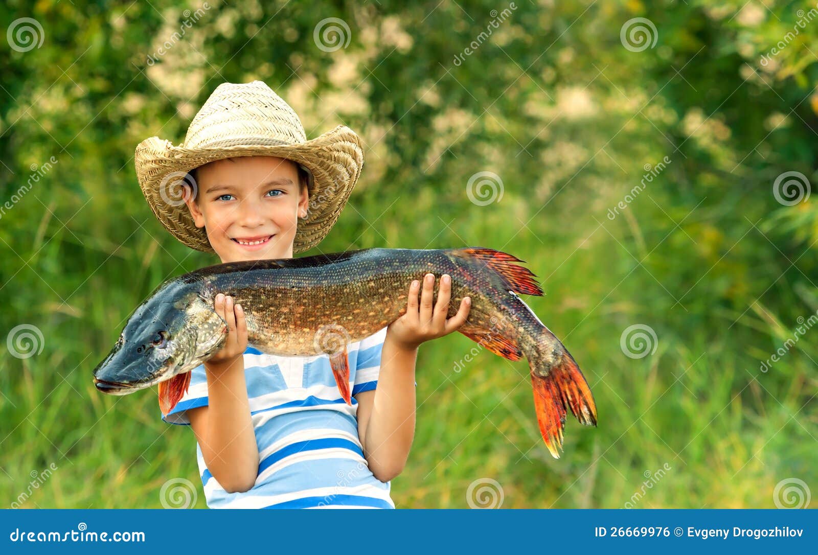 Boy holds big fish stock photo. Image of happiness, pike - 26669976