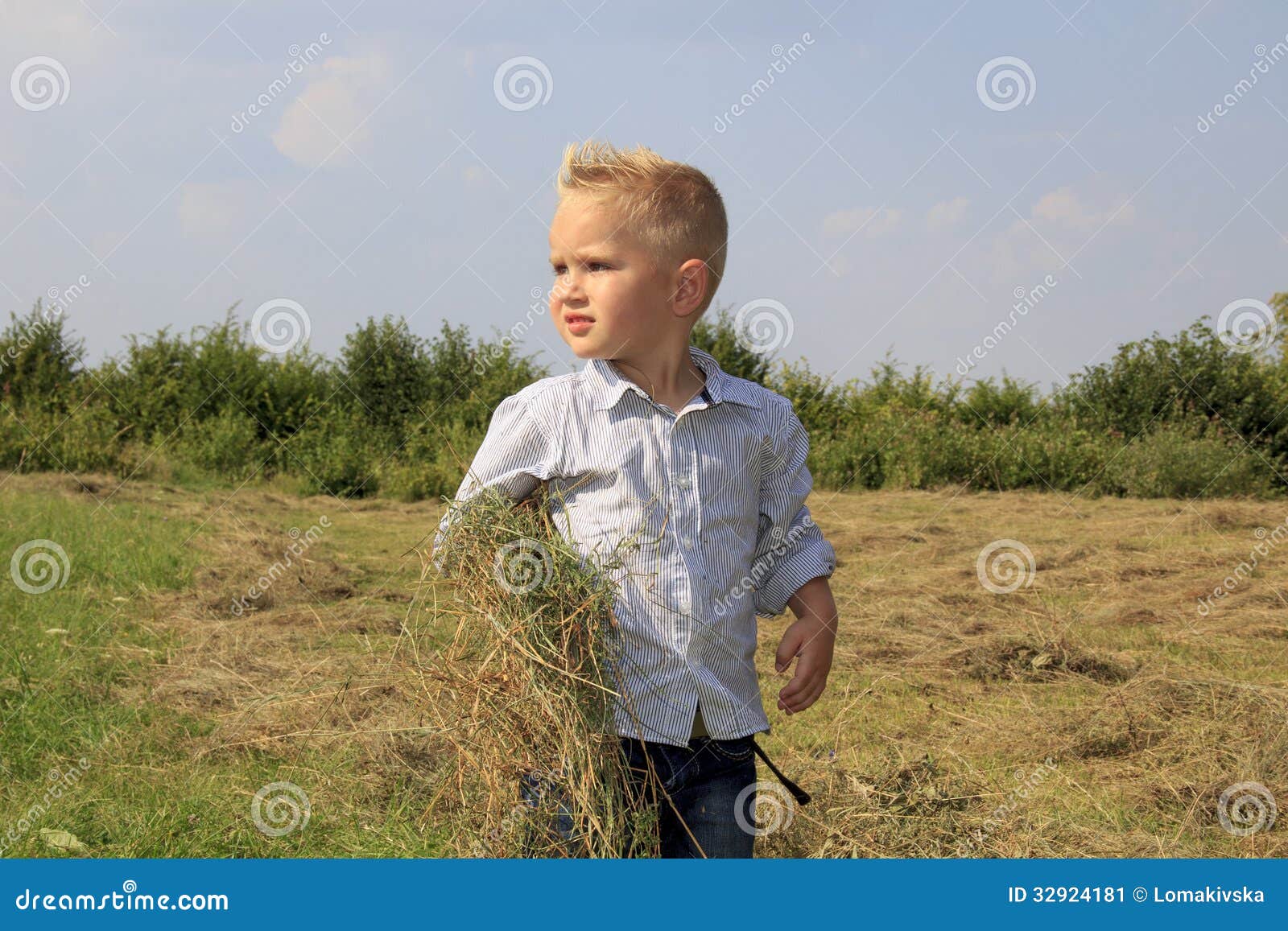 Boy holds a hay stock image. Image of looking, field - 32924181