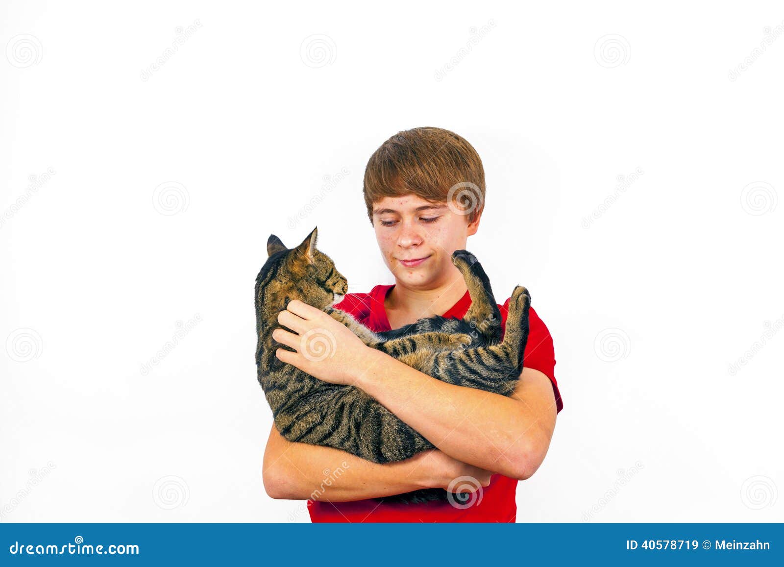 Boy Holds His Tabby Cat in His Arms Stock Image - Image of love, holds ...