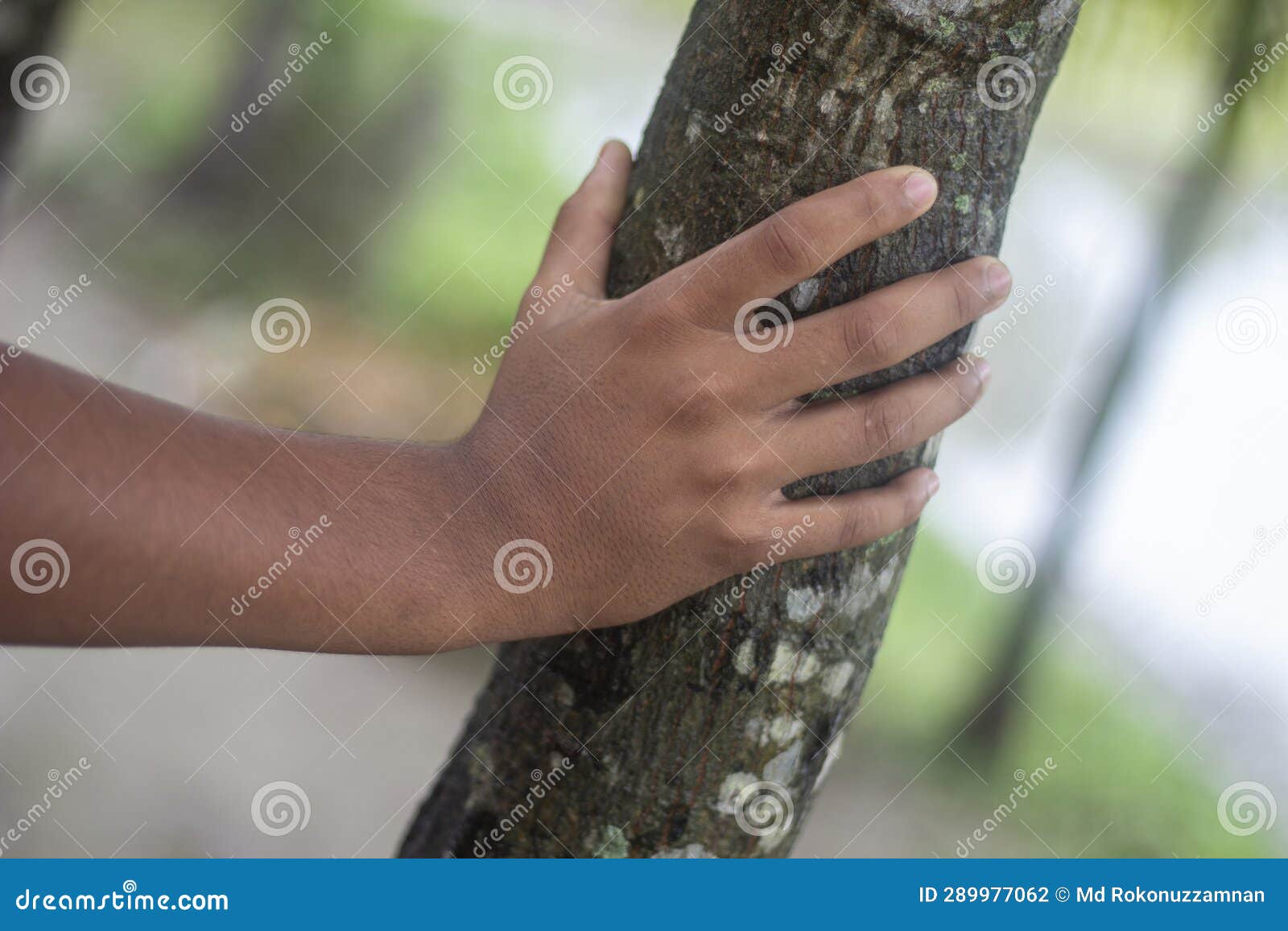 A Boy Holds an Old Tree by His Hand with Five Five-finger Stock Photo ...