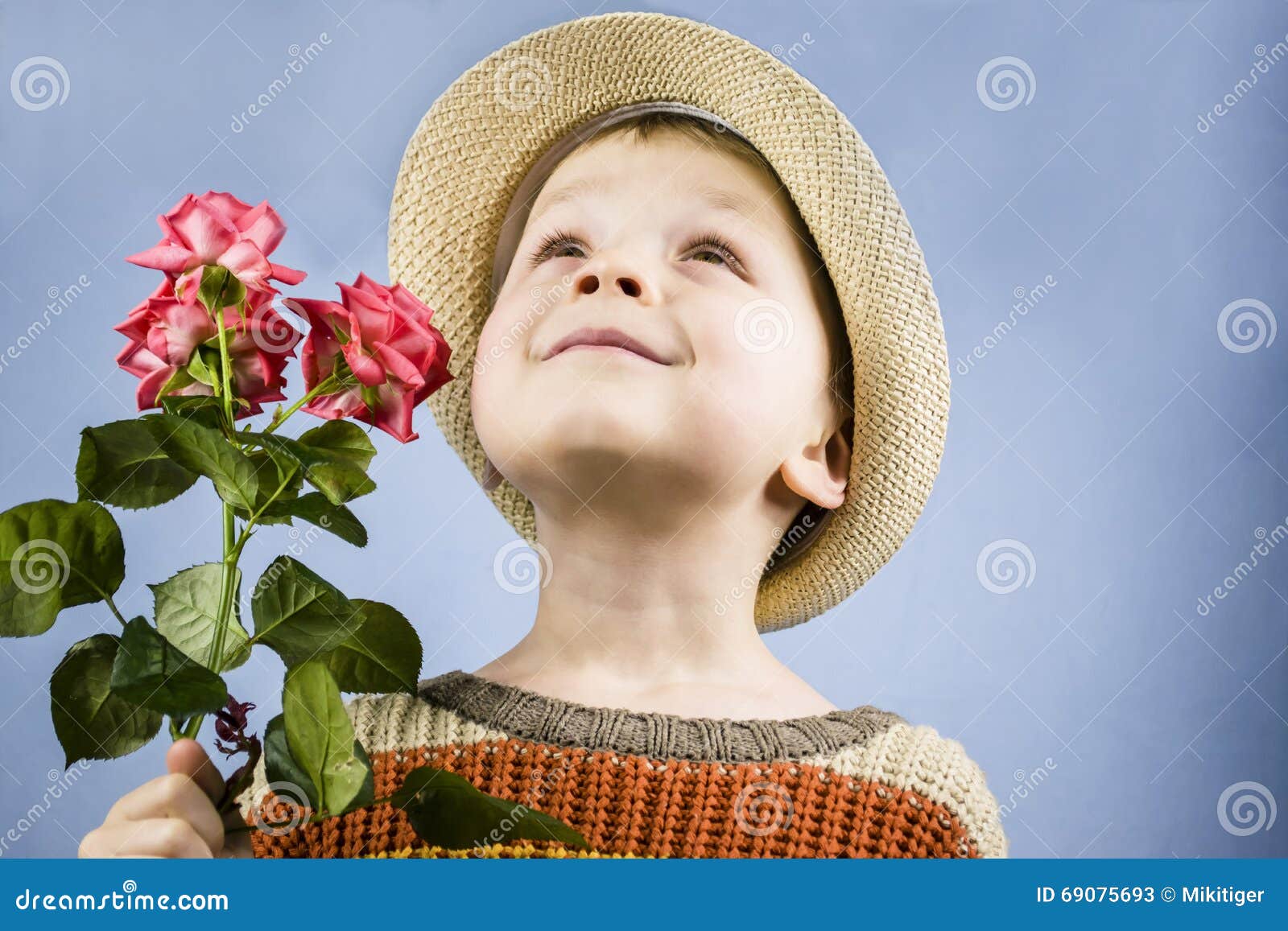 Boy holds a rose flower stock image. Image of face, baby - 69075693