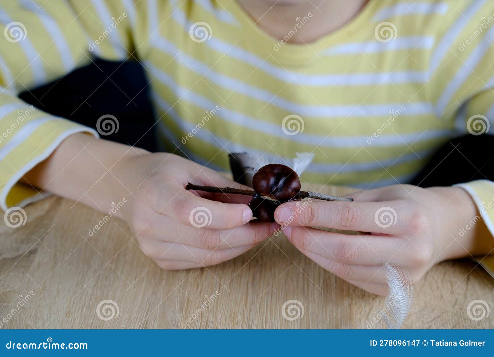 Boy Holds Tree Branches, Chestnut, Tools, Child Make Chestnut Man ...