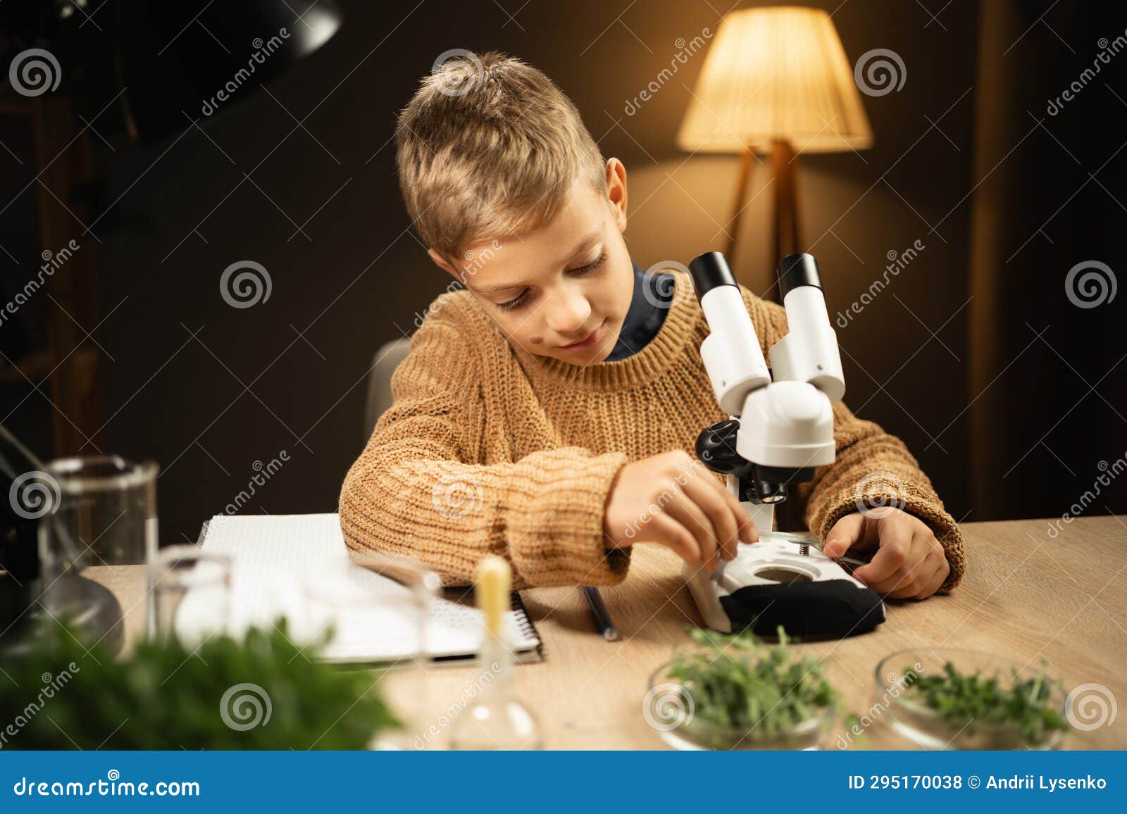 Boy at Home Uses Microscope and Plant Study, Increasing and Studying ...