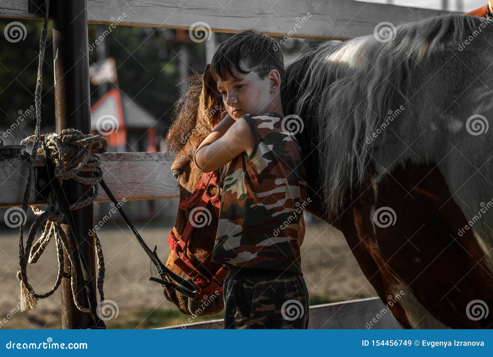 The Boy with the Horse in the Stable Yard. Stock Image - Image of child ...