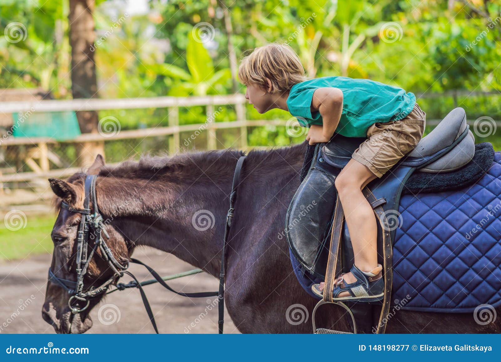 Boy Horseback Riding, Performing Exercises on Horseback Stock Image ...