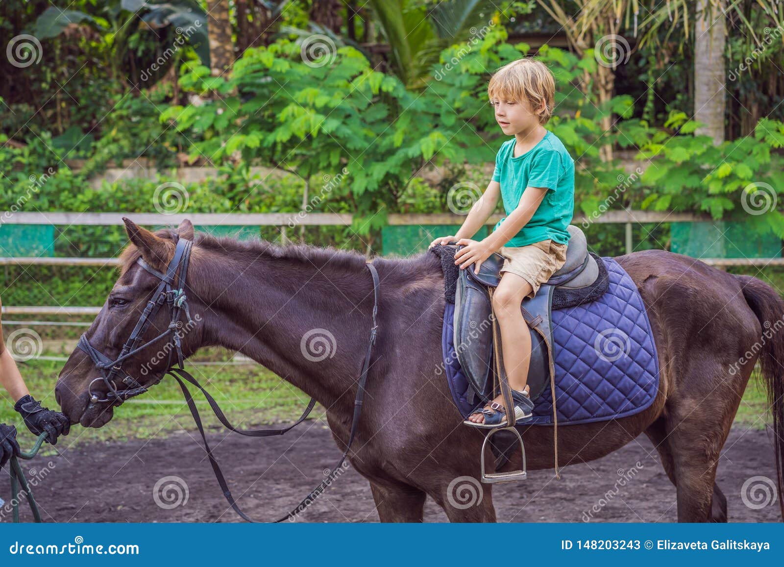 Boy Horseback Riding, Performing Exercises on Horseback Stock Image ...