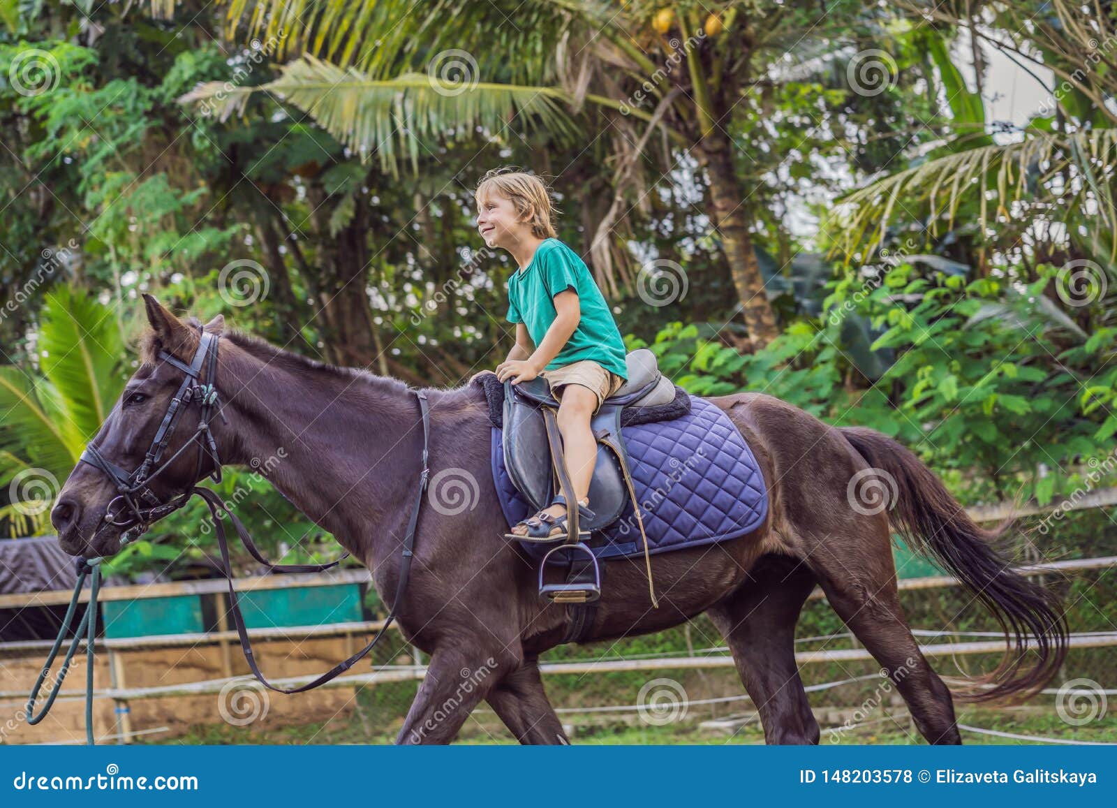 Boy Horseback Riding, Performing Exercises on Horseback Stock Photo ...