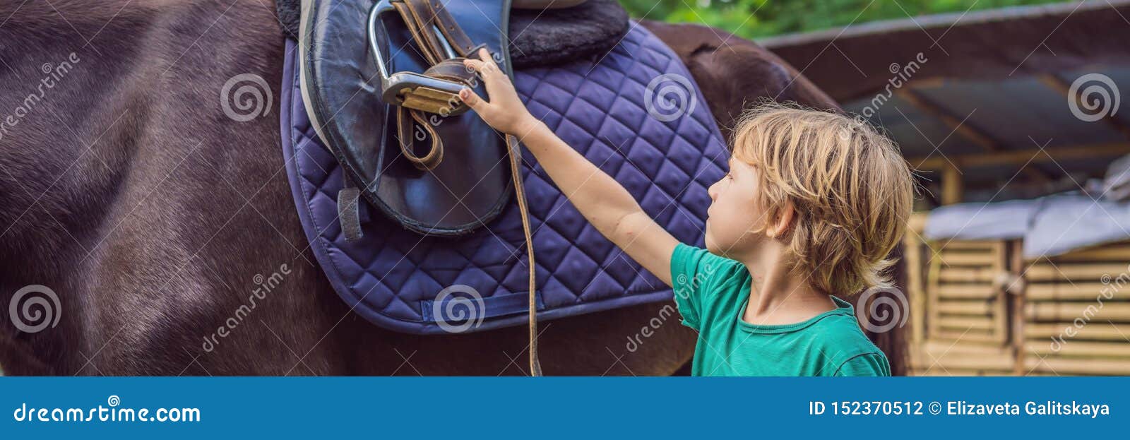 Boy Horseback Riding, Performing Exercises on Horseback BANNER, LONG ...
