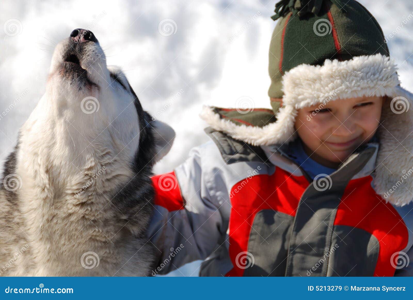 Boy with howling wolf stock image. Image of caucasian - 5213279