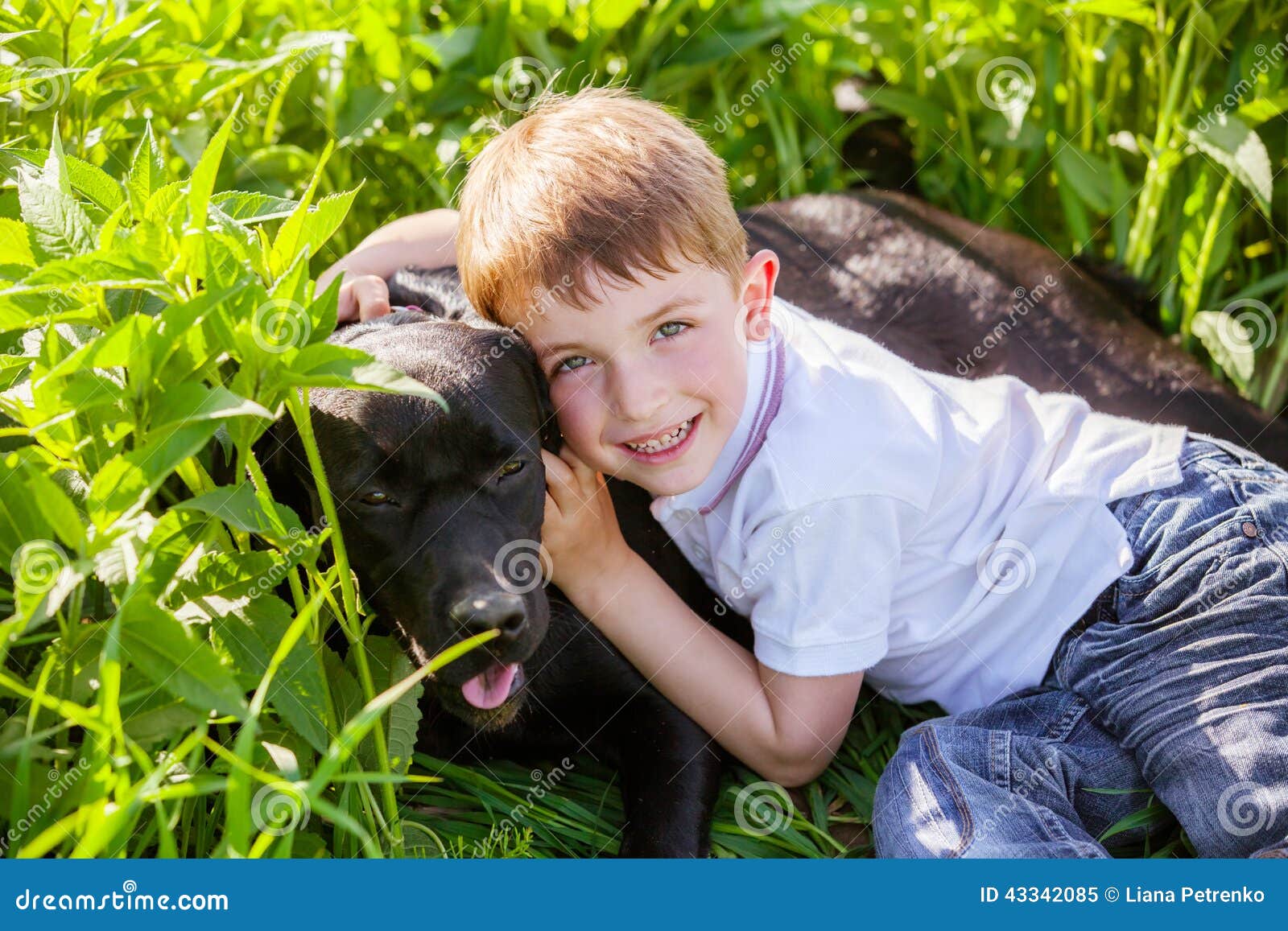 Boy Hugging Big Dog Outdoor Setting Stock Photos - Free & Royalty-Free ...