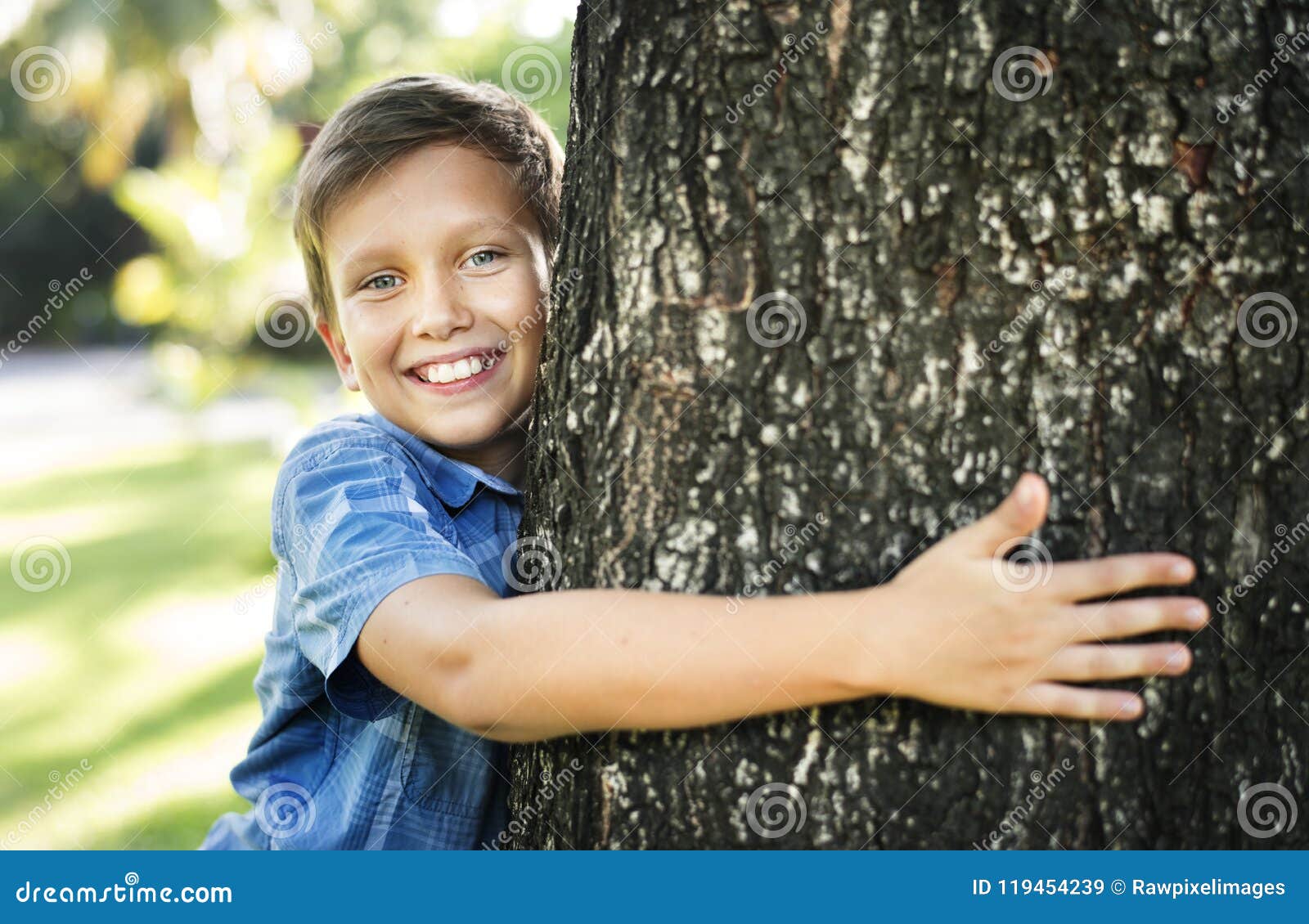 Boy Hugging a Big Tree in the Park Stock Image - Image of caucasian ...