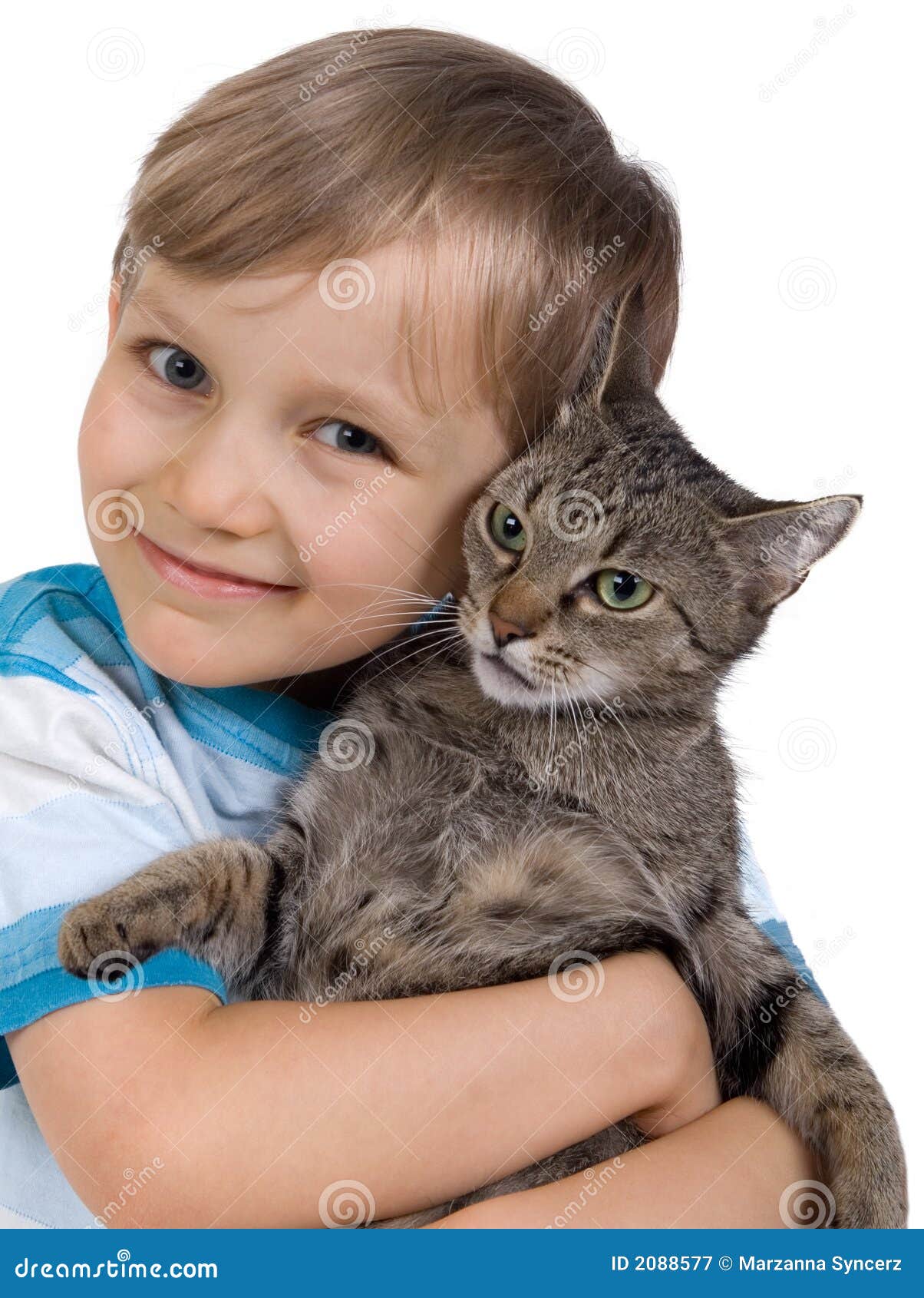 Boy hugging cat stock image. Image of kitty, cute, child - 2088577