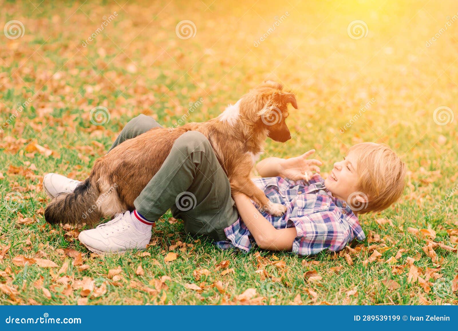 Boy Hugging Dog and Playing with in the Fall, City Park Stock Image ...