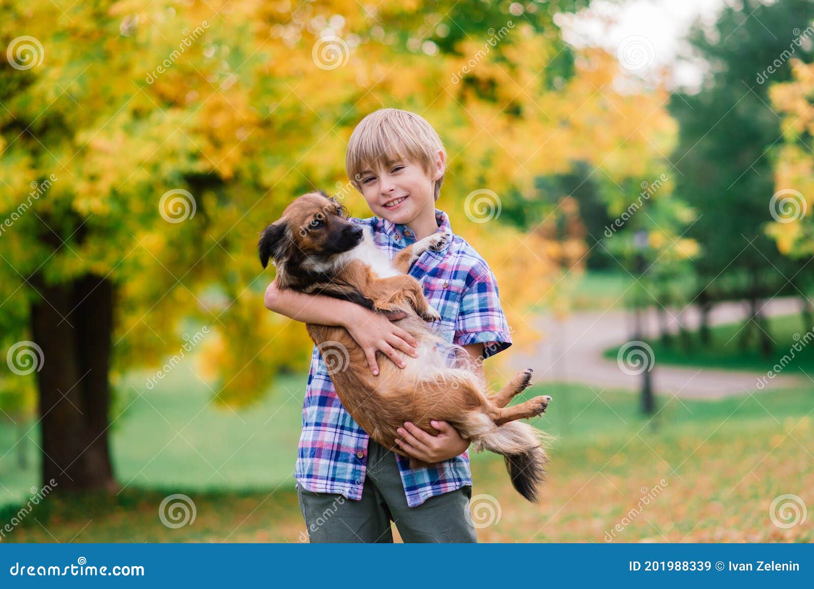 Boy Hugging Dog and Plyaing with in the Fall, City Park Stock Image ...