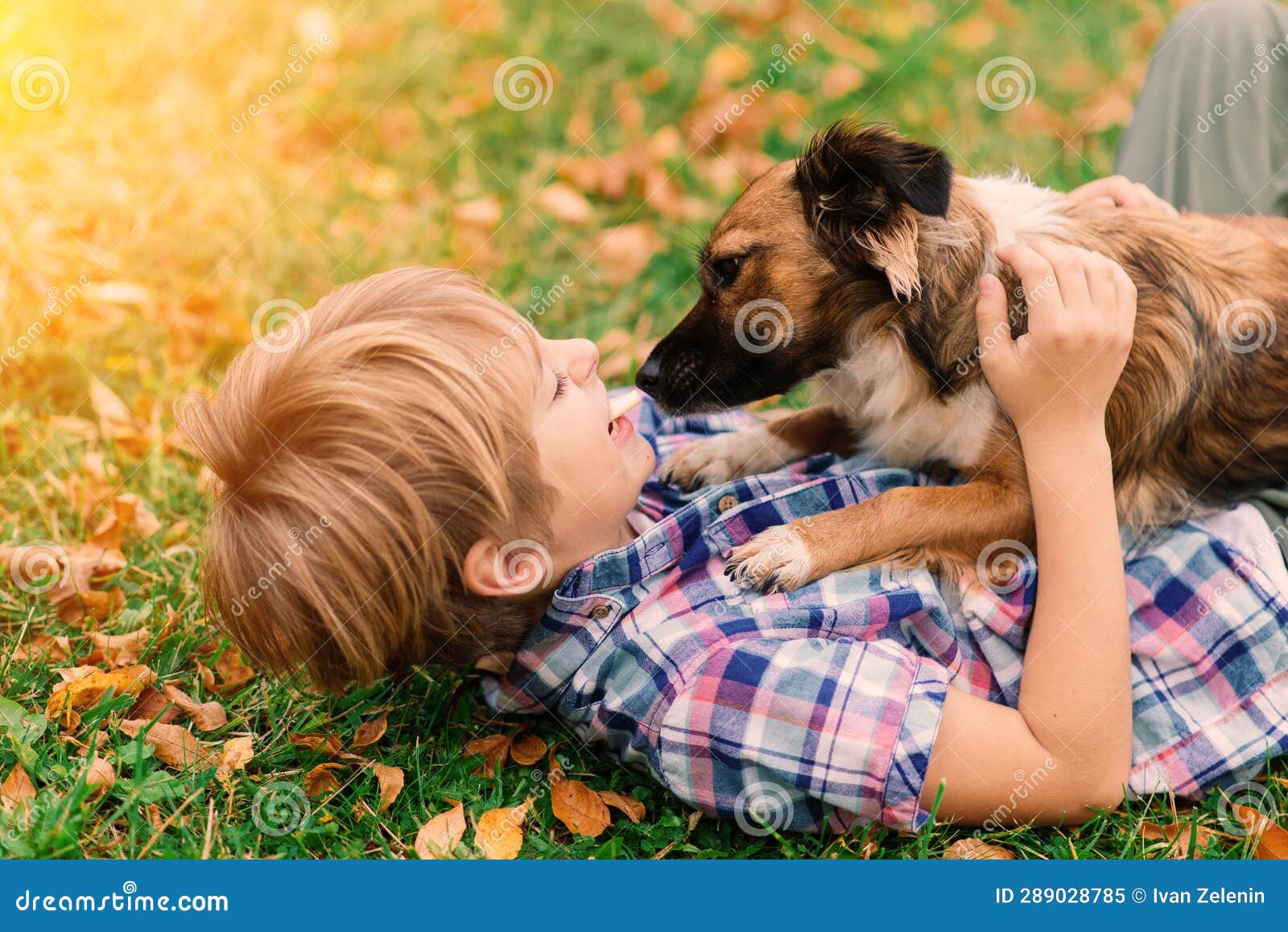 Boy Hugging Dog and Plyaing with in the Fall, City Park Stock Image ...