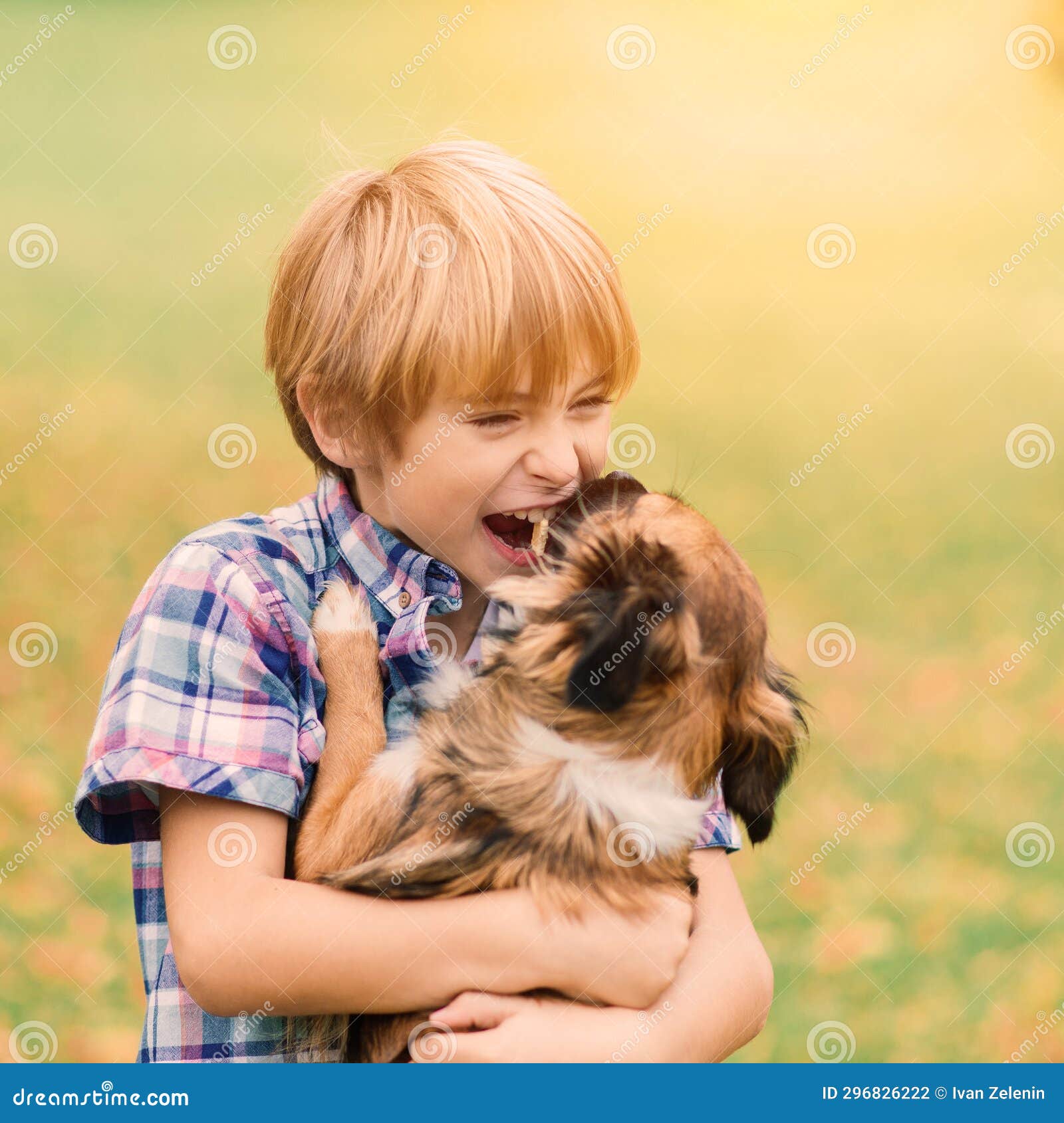 Boy Hugging Dog and Plyaing with in the Fall, City Park Stock Photo ...