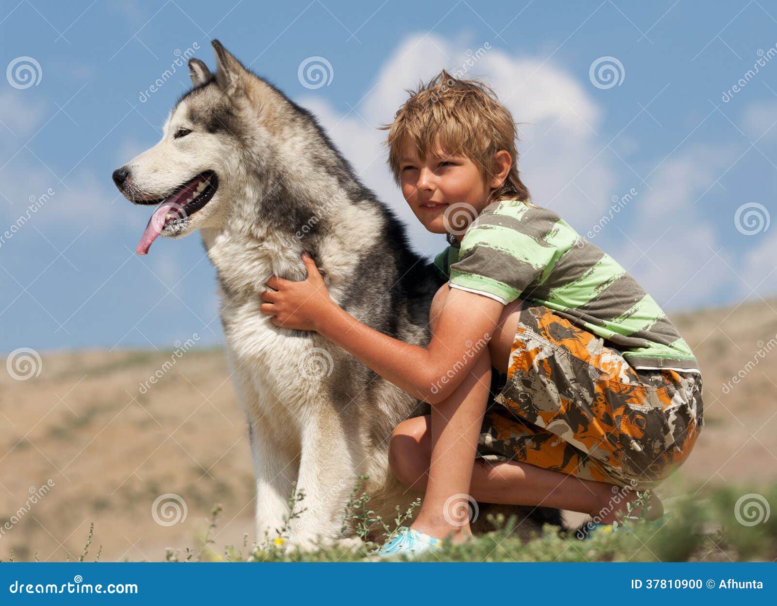 Boy hugging a fluffy dog stock photo. Image of friendship - 37810900
