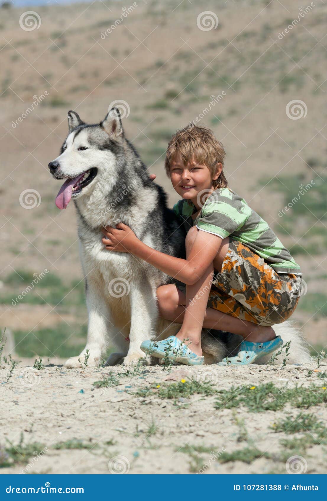 Boy hugging a fluffy dog stock photo. Image of fluffy - 107281388