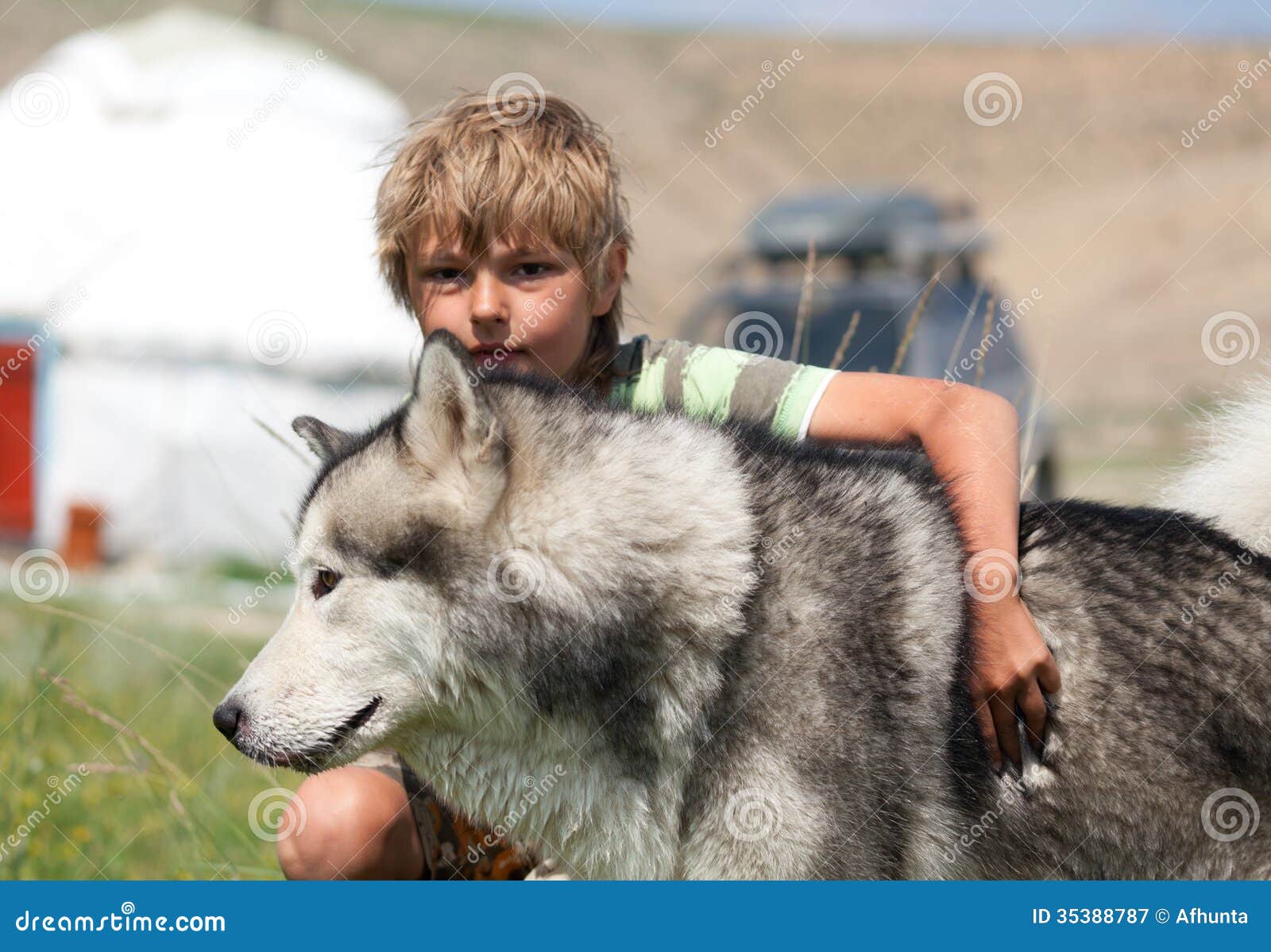 Boy hugging a fluffy dog stock image. Image of leisure - 35388787