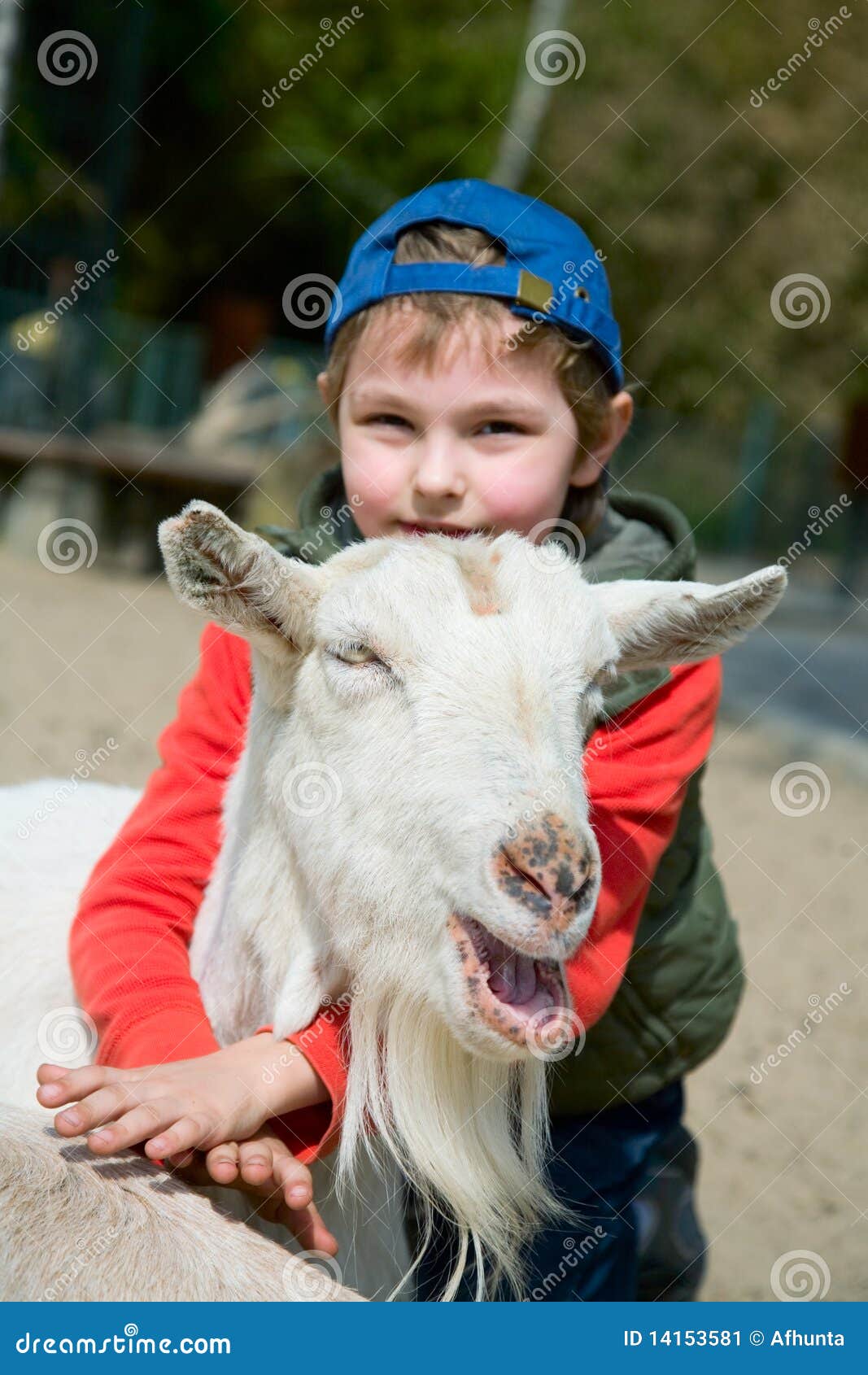 Boy hugging a goat stock image. Image of animals, outdoors - 14153581