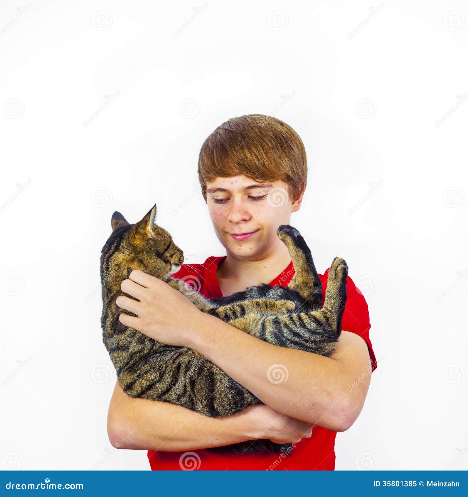 Boy Hugging with His Cute Cat Stock Image - Image of feline, kitty ...