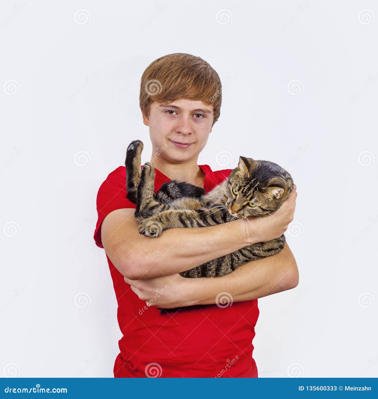 Boy Hugging with His Cute Cat Stock Image - Image of joyful, people ...