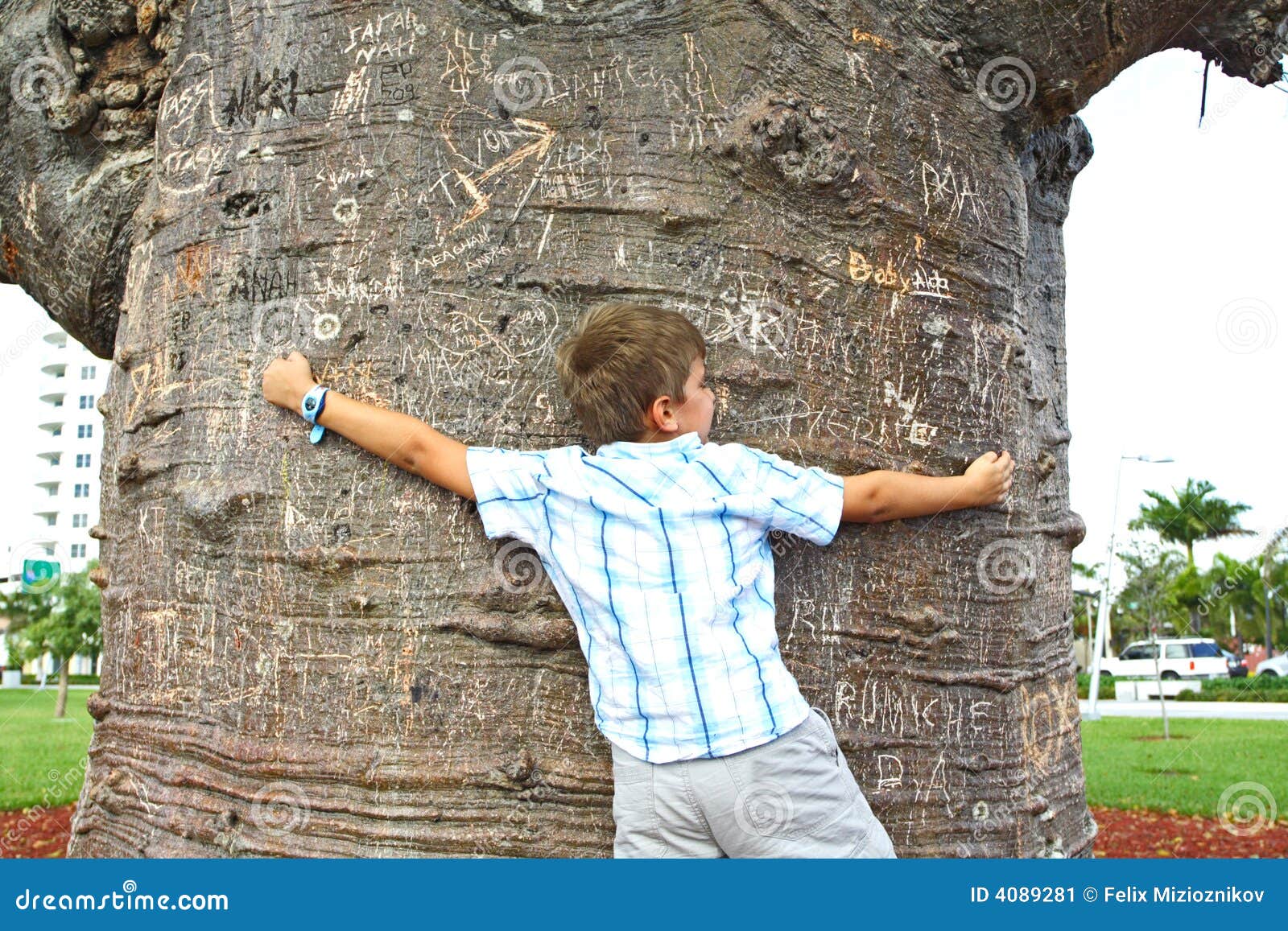 Boy hugging a Tree stock image. Image of protective, real - 4089281