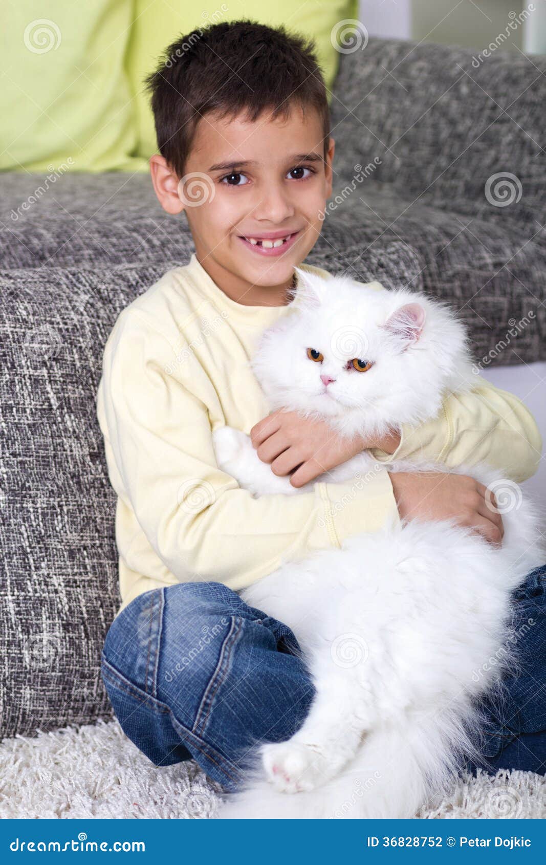 Boy Hugging a White Persian Cat Stock Photo - Image of animal, cuddly ...