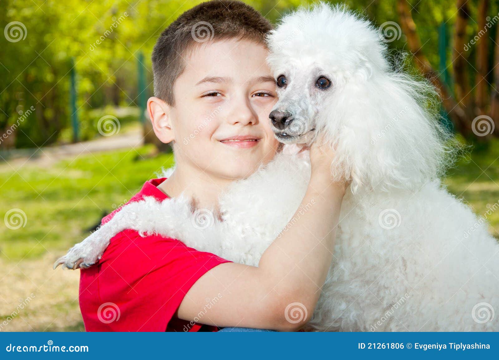 A boy hugs his dog stock photo. Image of portrait, summer - 21261806