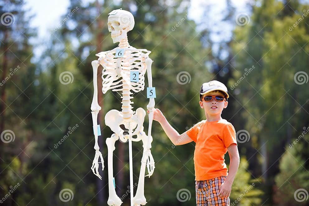 Boy with human skeleton stock photo. Image of class, people - 37429912