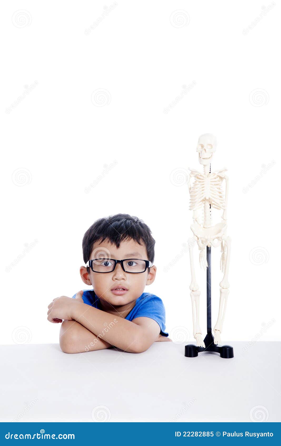 Boy with Human Skeleton Model Stock Image - Image of indoor, isolated ...