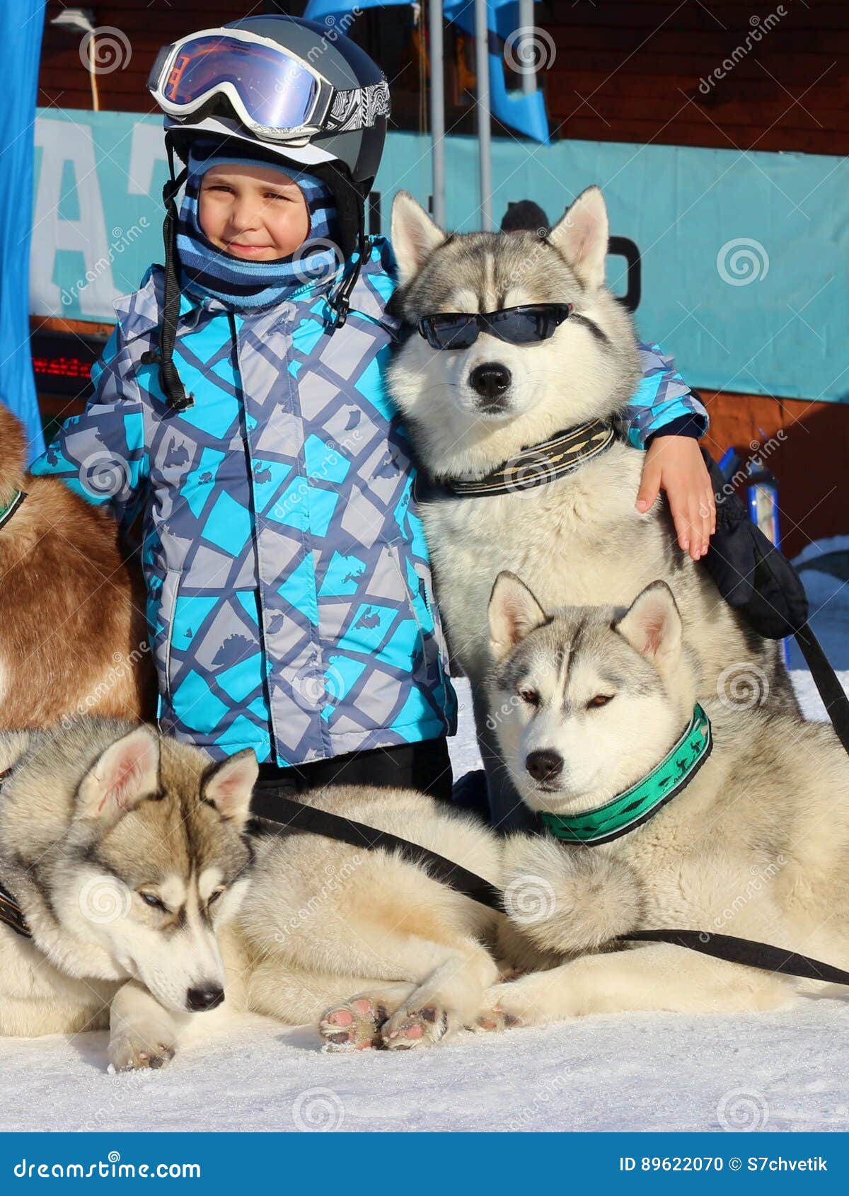 Boy and husky stock photo. Image of shoot, helmet, playing - 89622070