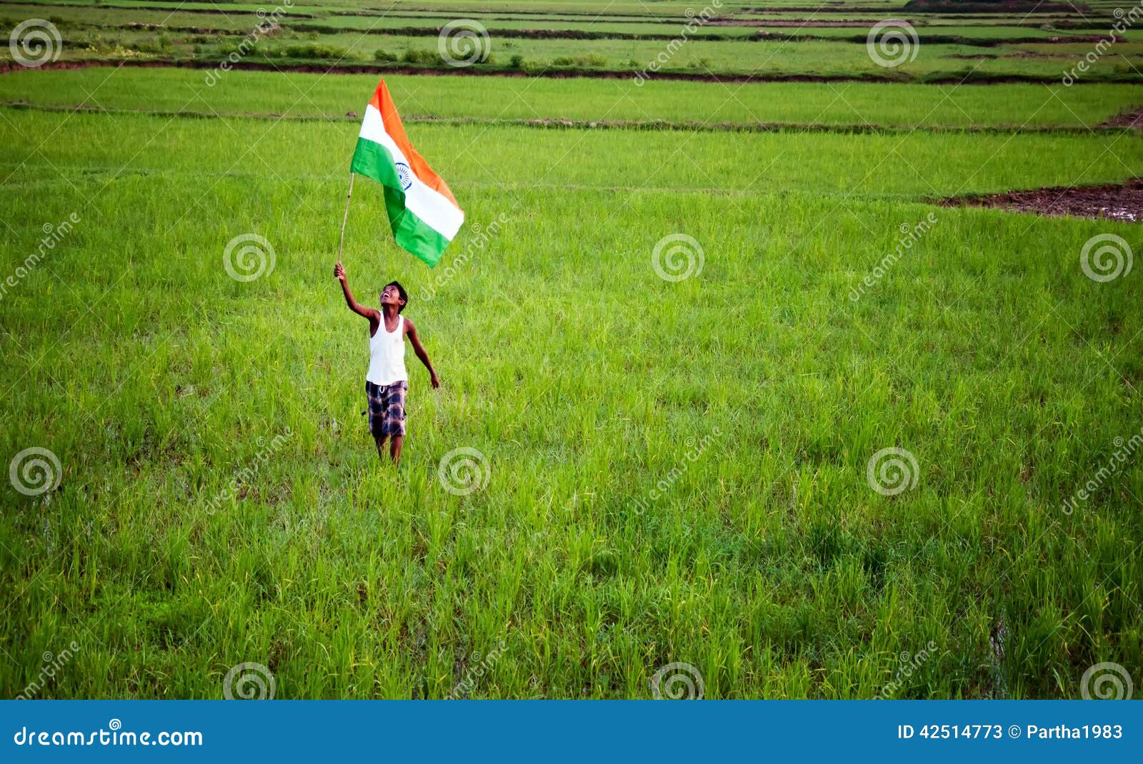 Boy with Indian National Flag Editorial Stock Photo - Image of healthy ...