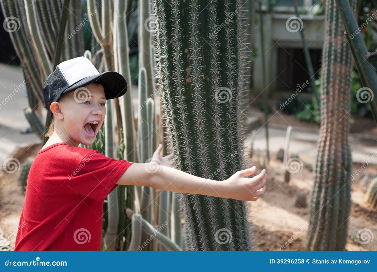 Boy Jokingly Hugging Cactus and Screams. Stock Photo - Image of ...