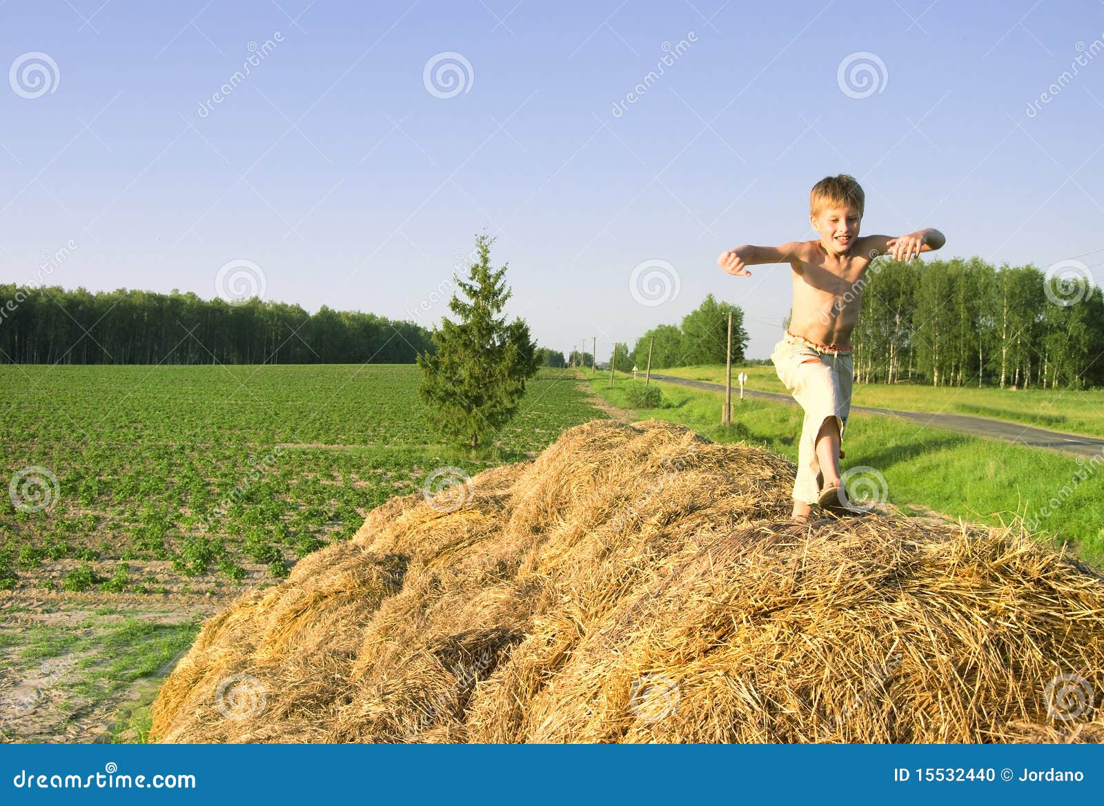 Boy Jump on a Hayrick and Throw a Straw Stock Photo - Image of haystack ...