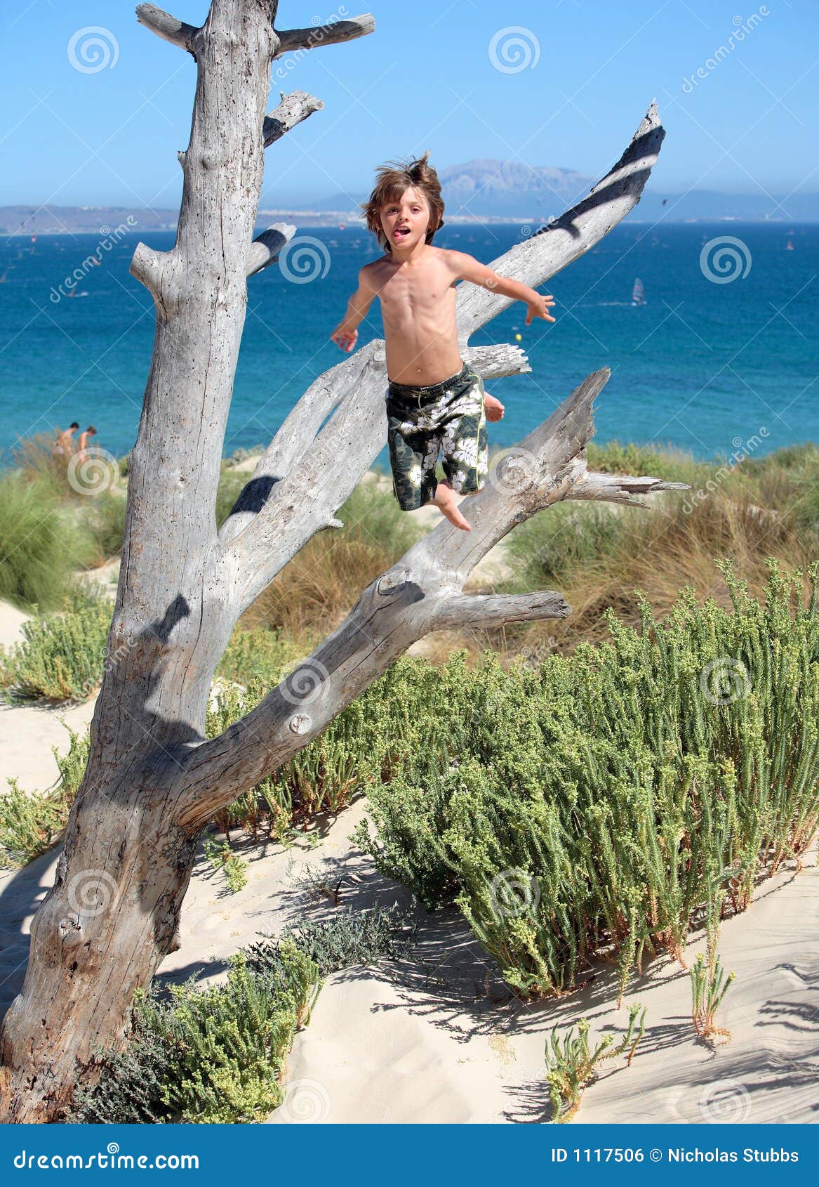 Boy Jumping Out of Tree on Vacation Stock Photo - Image of sand, crazy ...