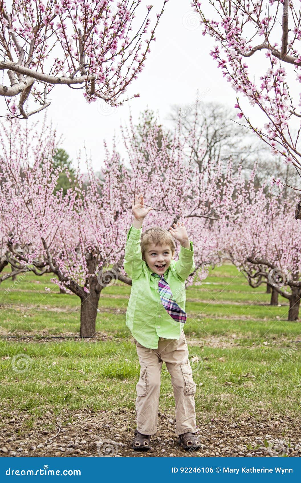 Boy jumping in Spring stock photo. Image of beautiful - 92246106