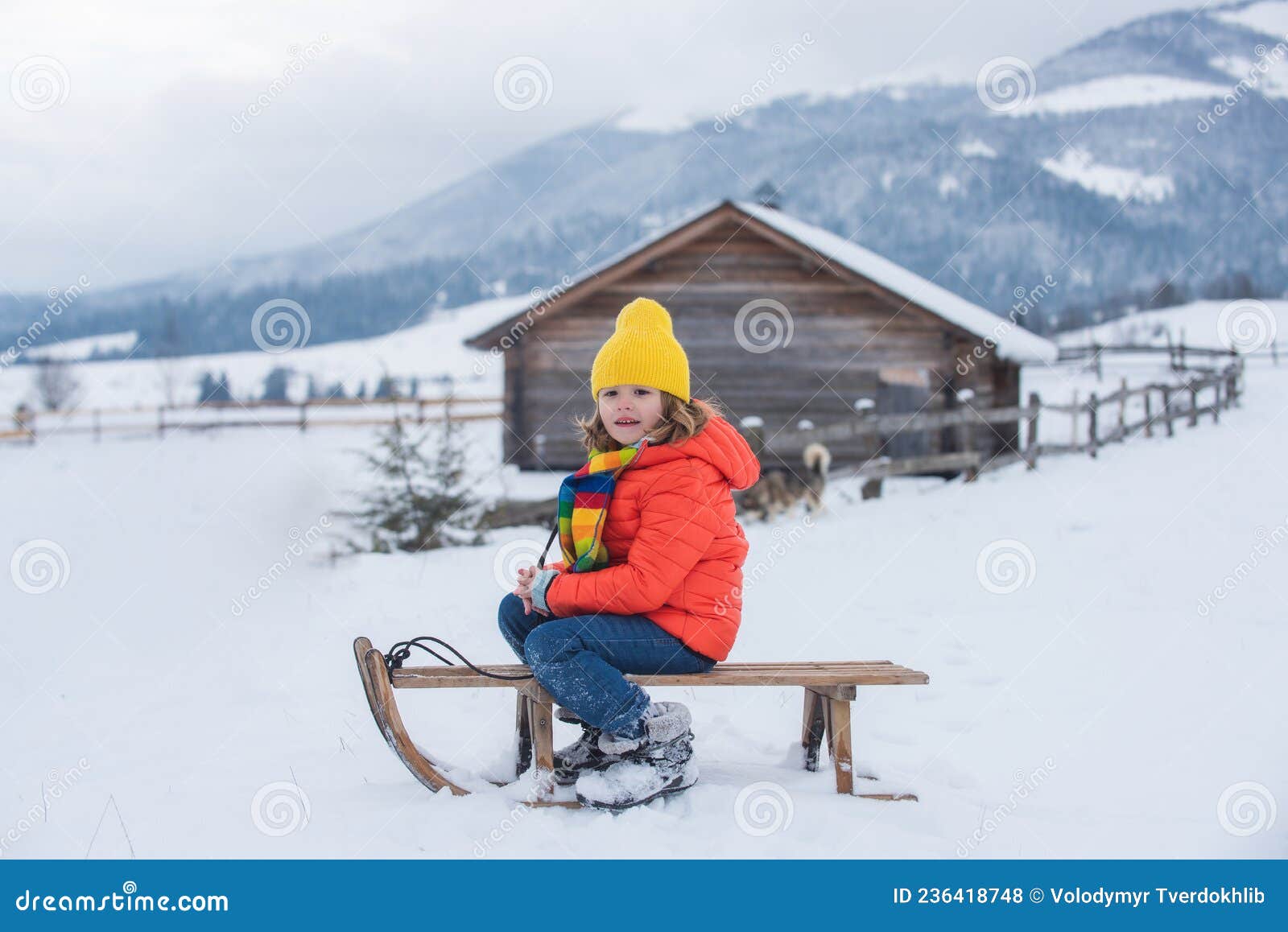 Boy Kid Sliding with Sledge in the Winter Snow. Stock Photo - Image of ...