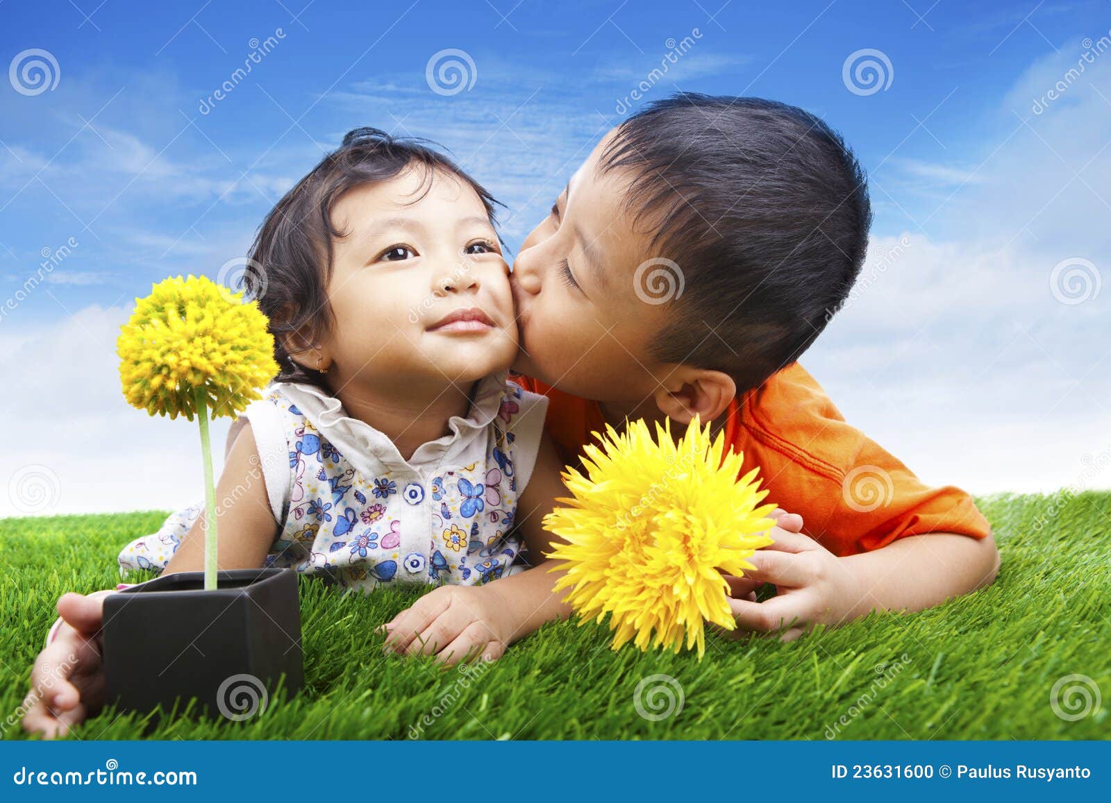 Boy Kissing His Sister in Spring Stock Photo - Image of family, daisy ...