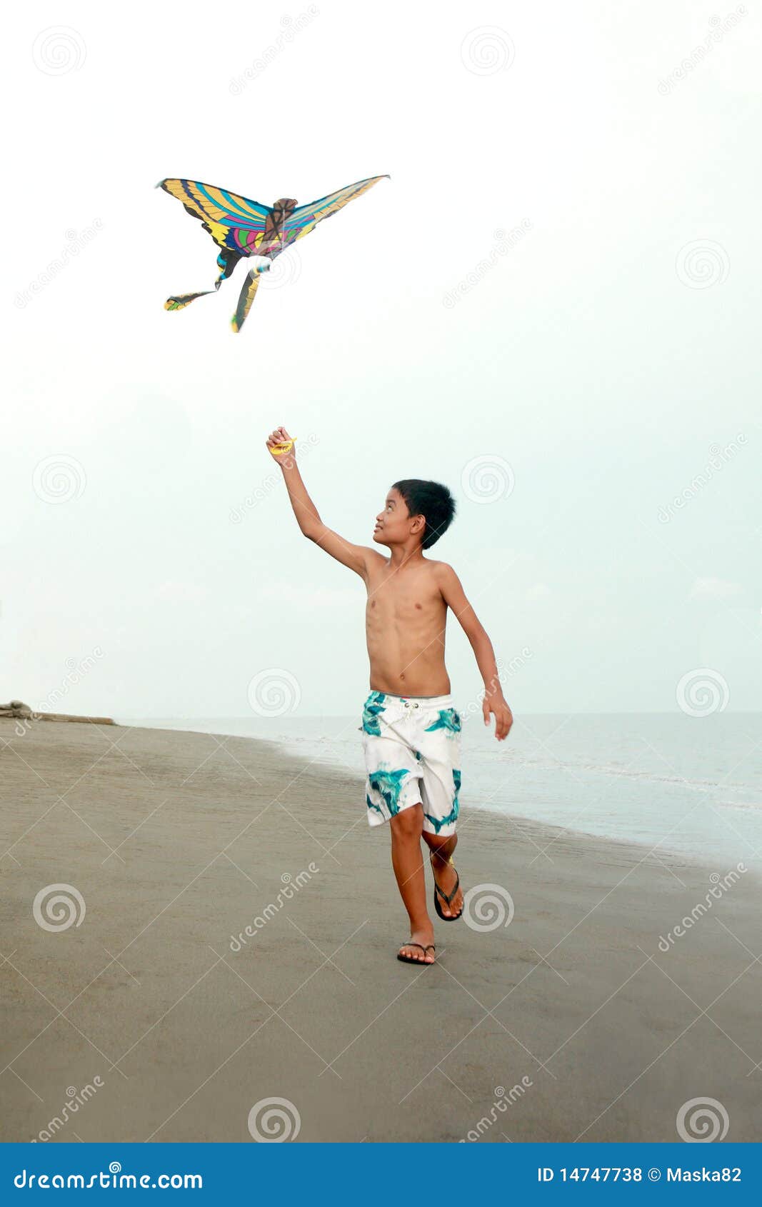 Boy with kite stock photo. Image of summer, flying, playing - 14747738