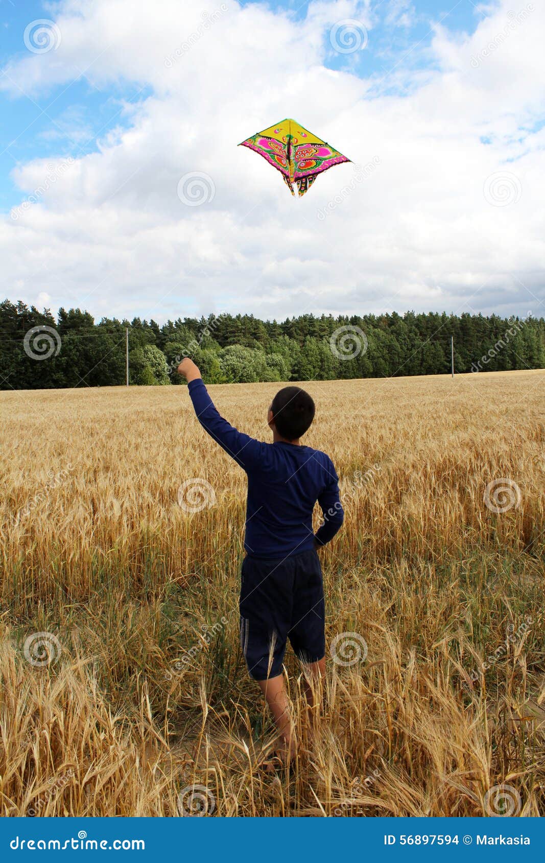 Boy with a kite stock photo. Image of landscape, game - 56897594