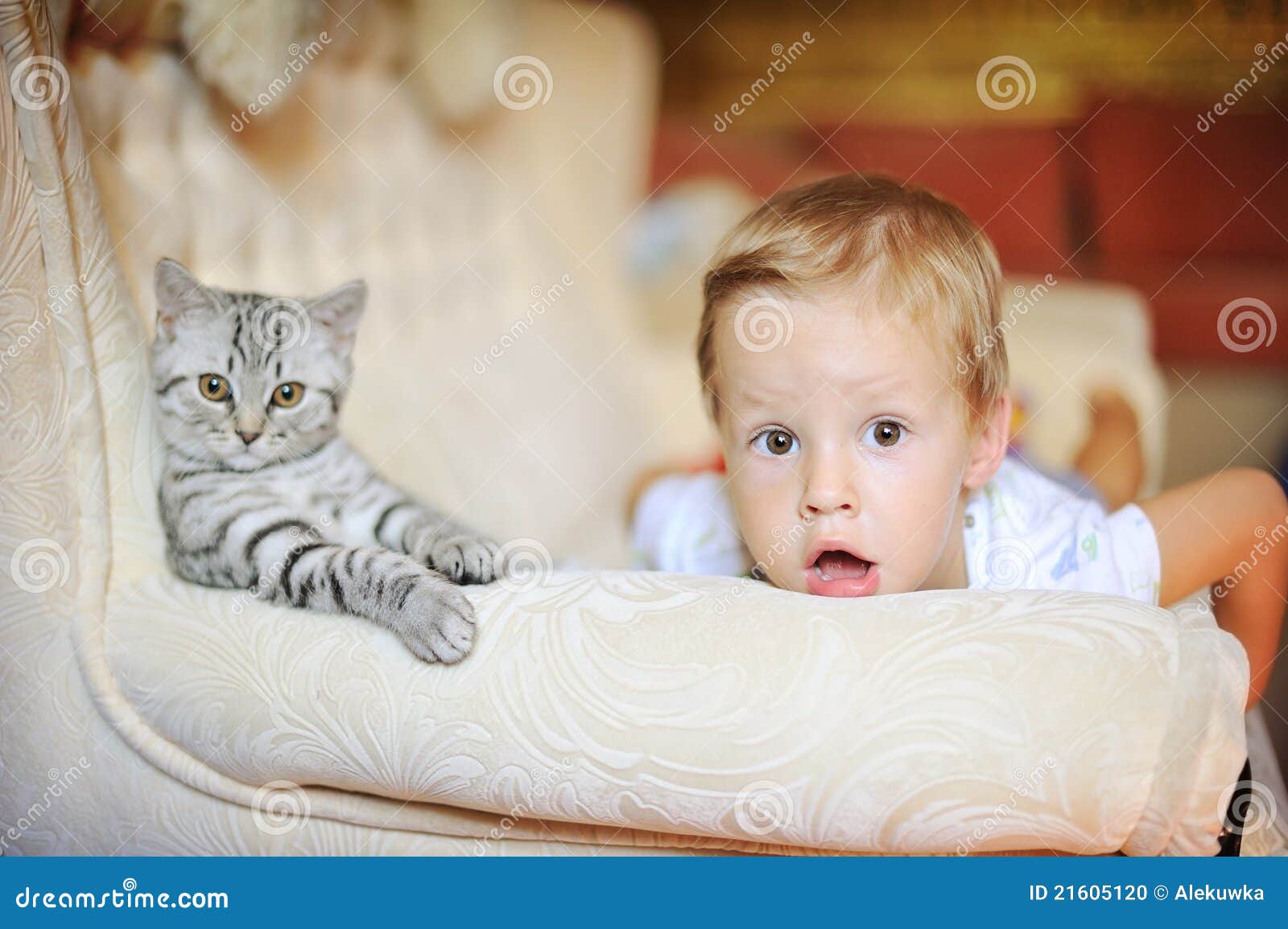 The boy with a kitten stock photo. Image of eyes, interest - 21605120