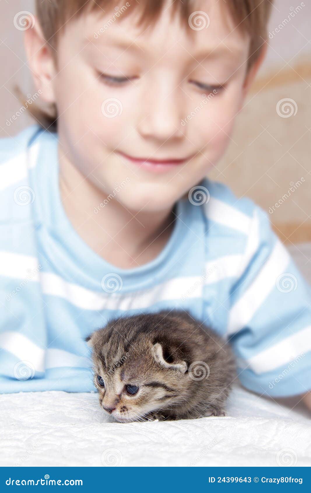 Boy with kitten at home stock image. Image of little - 24399643
