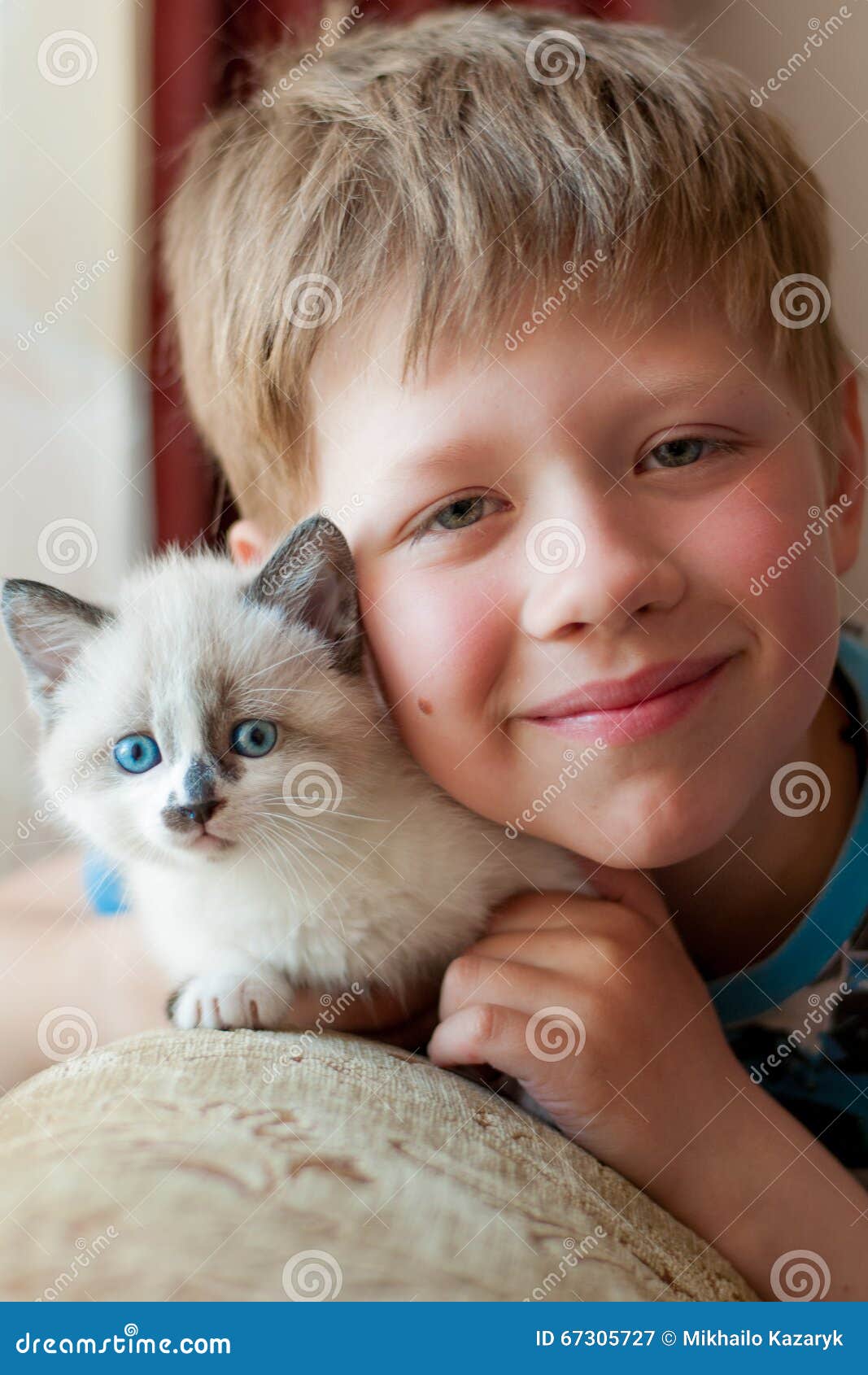Boy with a Kitten in the Room Stock Image - Image of friendship ...