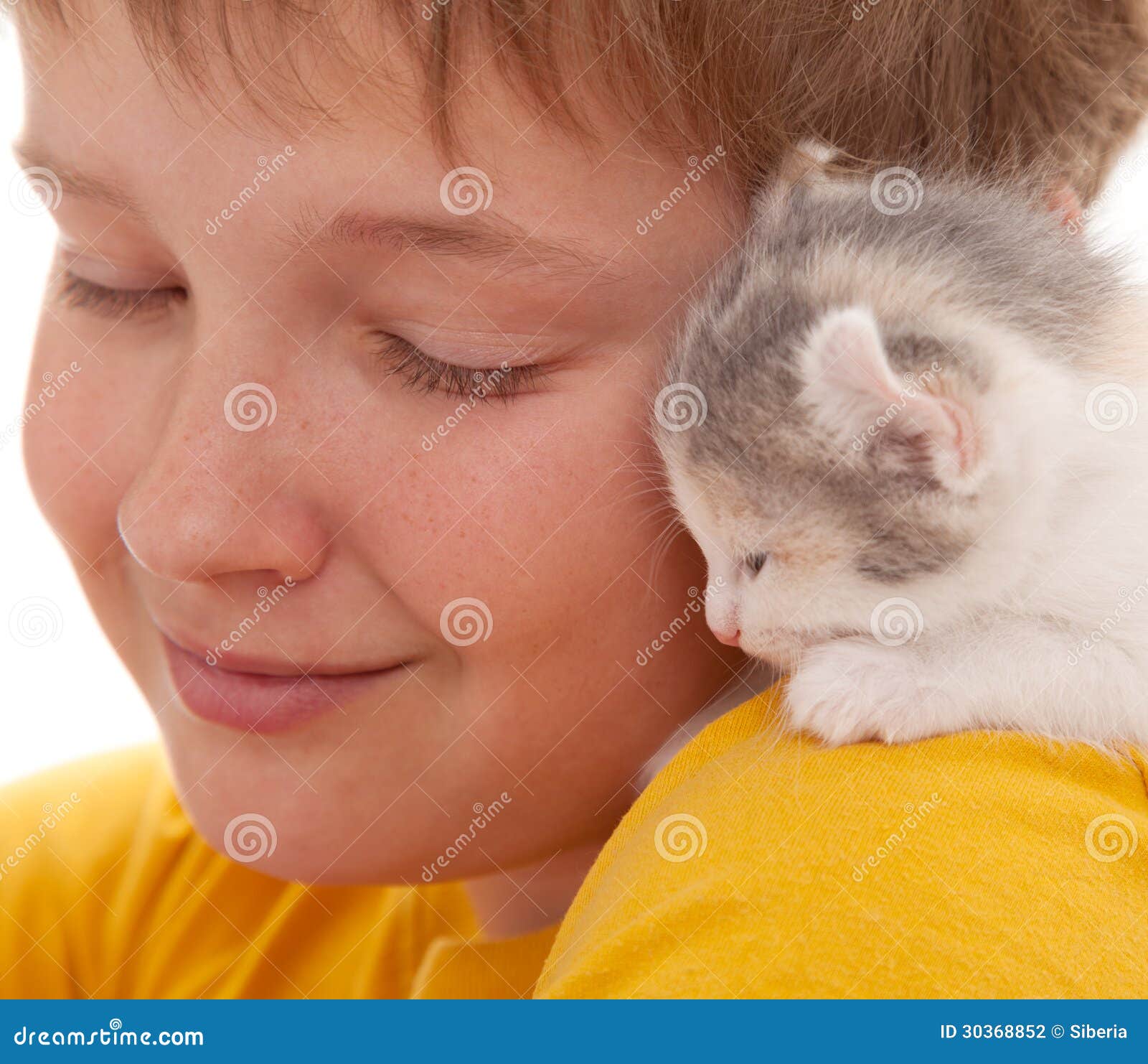 Boy and kitten stock photo. Image of shorthair, cute - 30368852