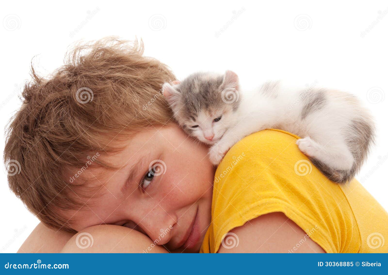 Boy and kitten stock image. Image of domestic, puss, beautiful - 30368885
